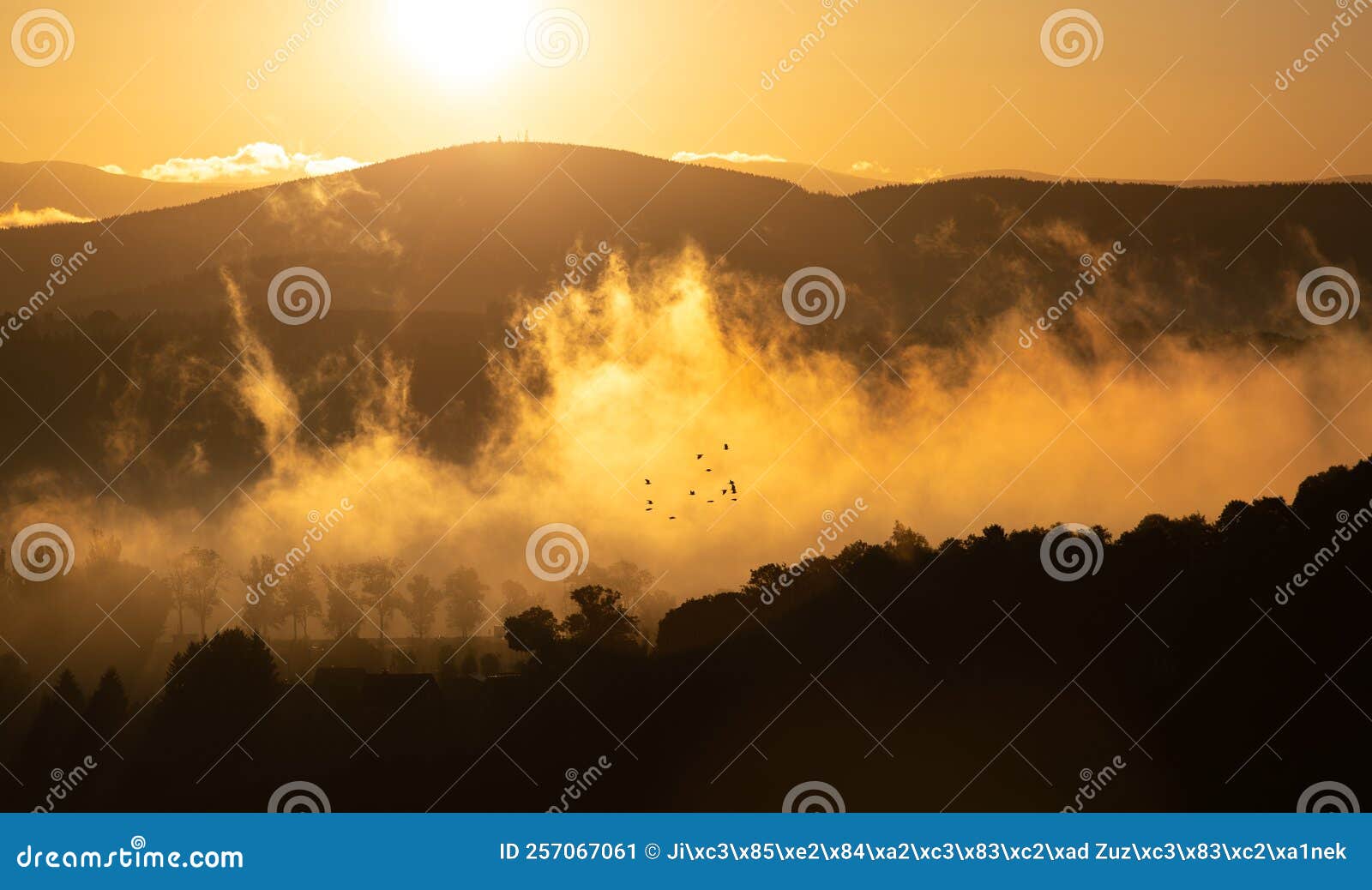 Inversion in the Mountains with Birds in the Sky Stock Image - Image of ...
