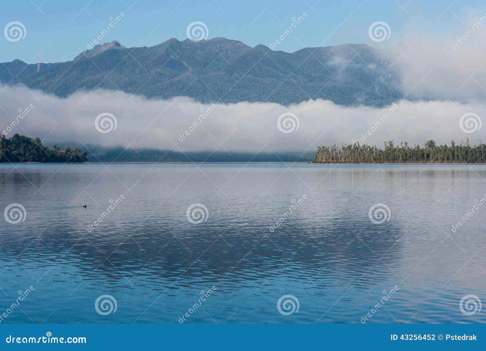 Inversion Over Lake Brunner Stock Photo - Image of tranquil, mist: 43256452