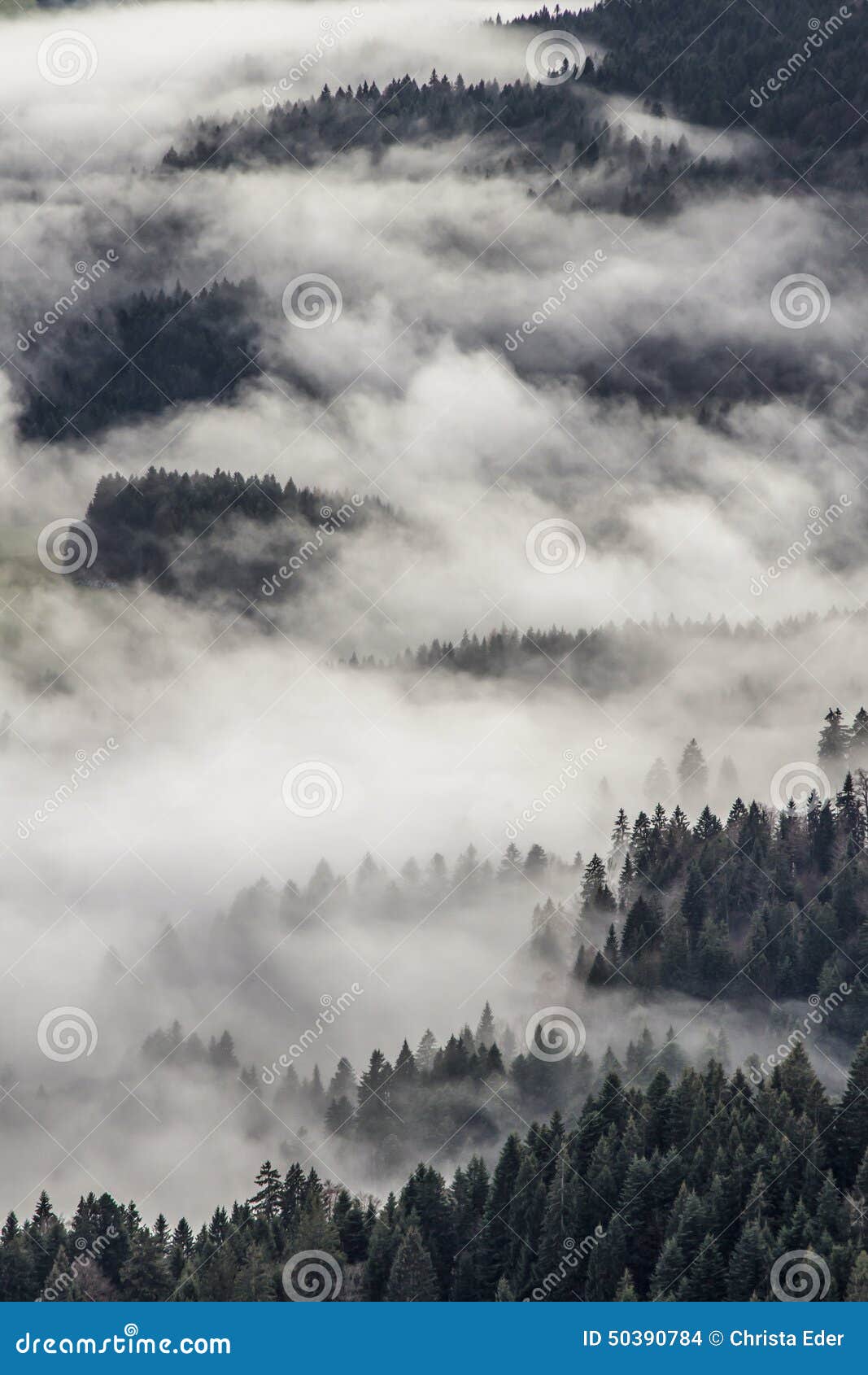 Inversion stock photo. Image of mist, inversion, layer - 50390784