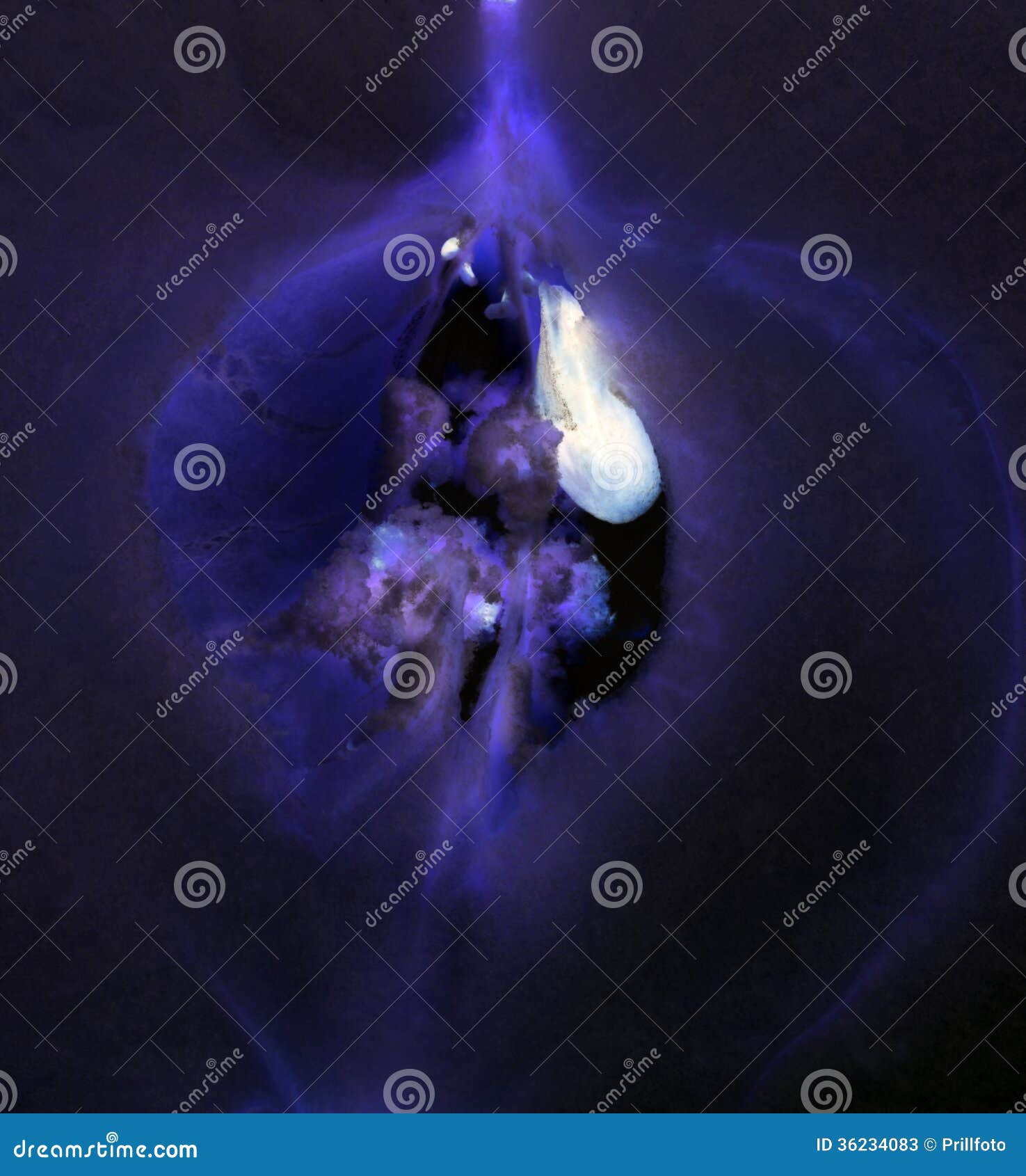 Inverted apple slice stock image. Image of edible, cross - 36234083