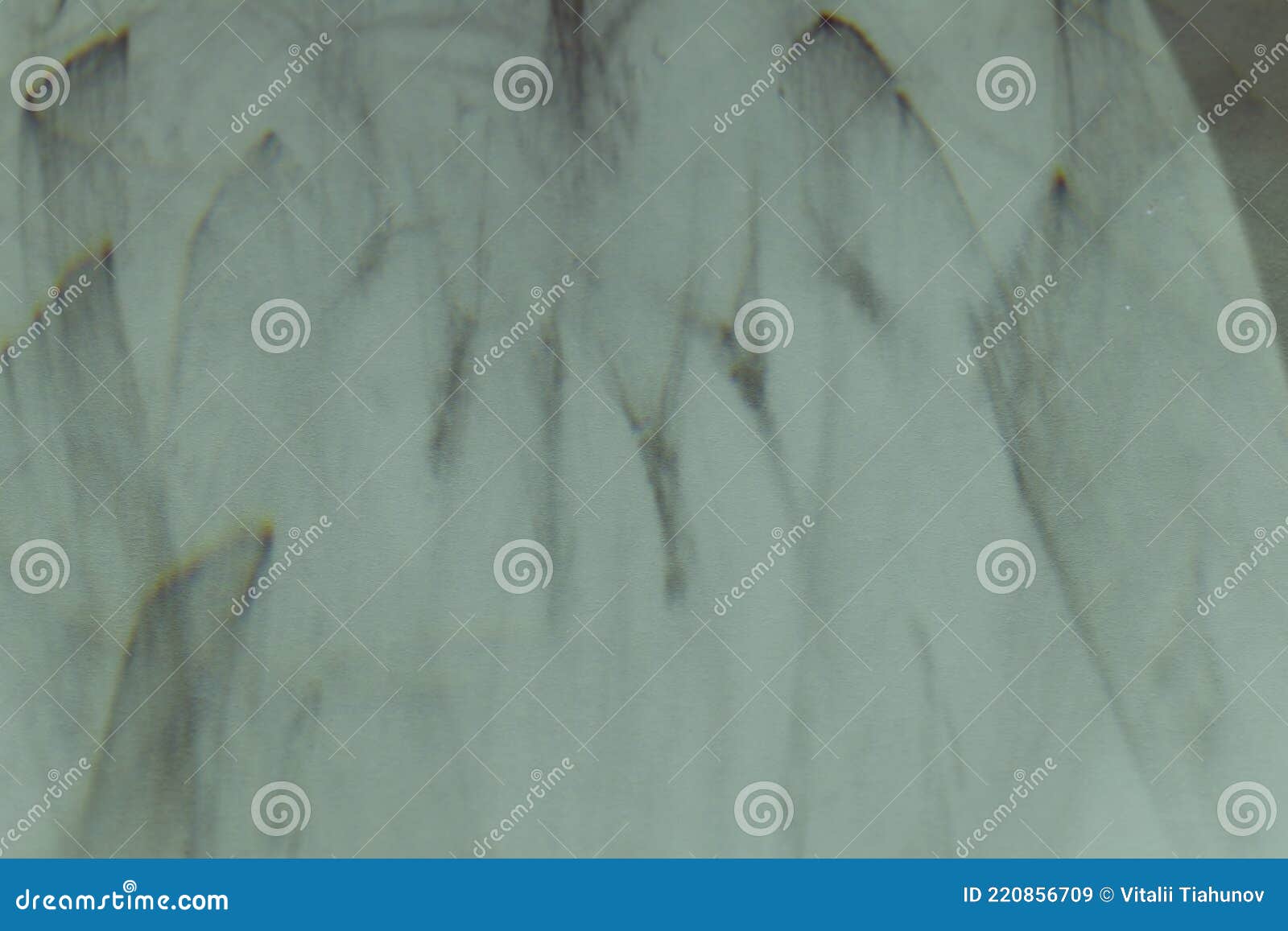 Inverted Caustic Effect, Play of Shadows Stock Image - Image of ...