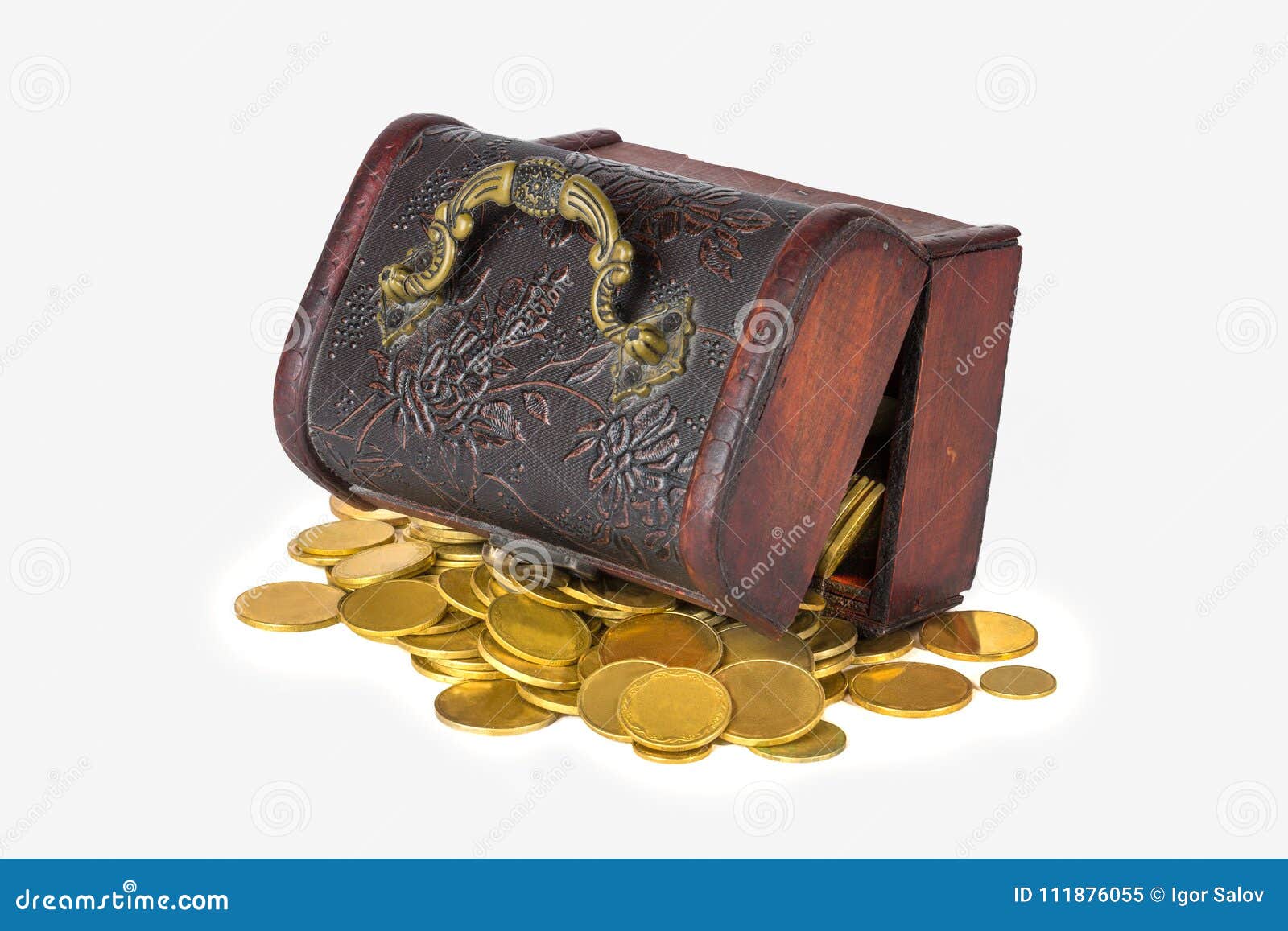 Inverted Chest X-ray Royalty-Free Stock Image | CartoonDealer.com #2922100