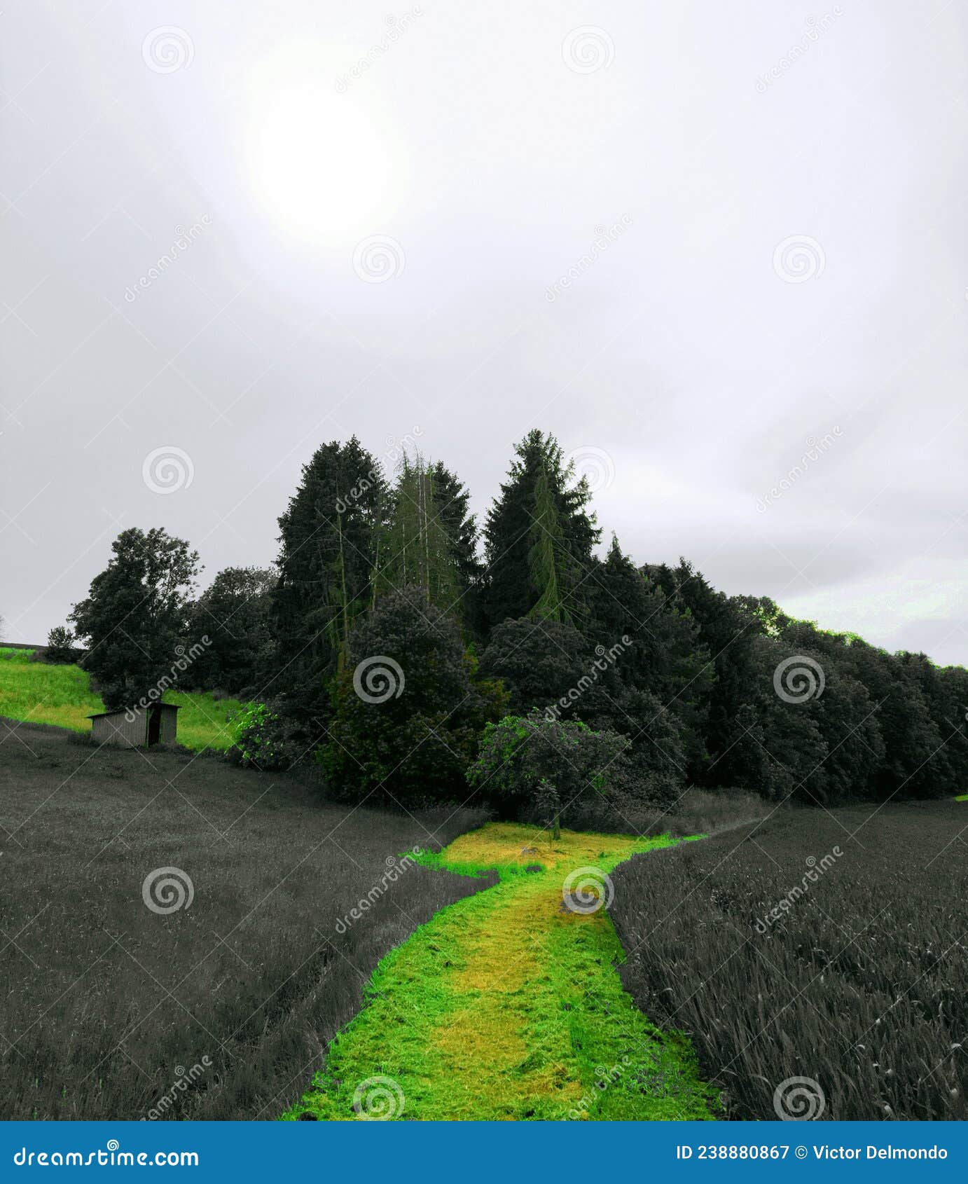 Inverted Road Signs On Asphalt. Royalty-Free Stock Photography ...
