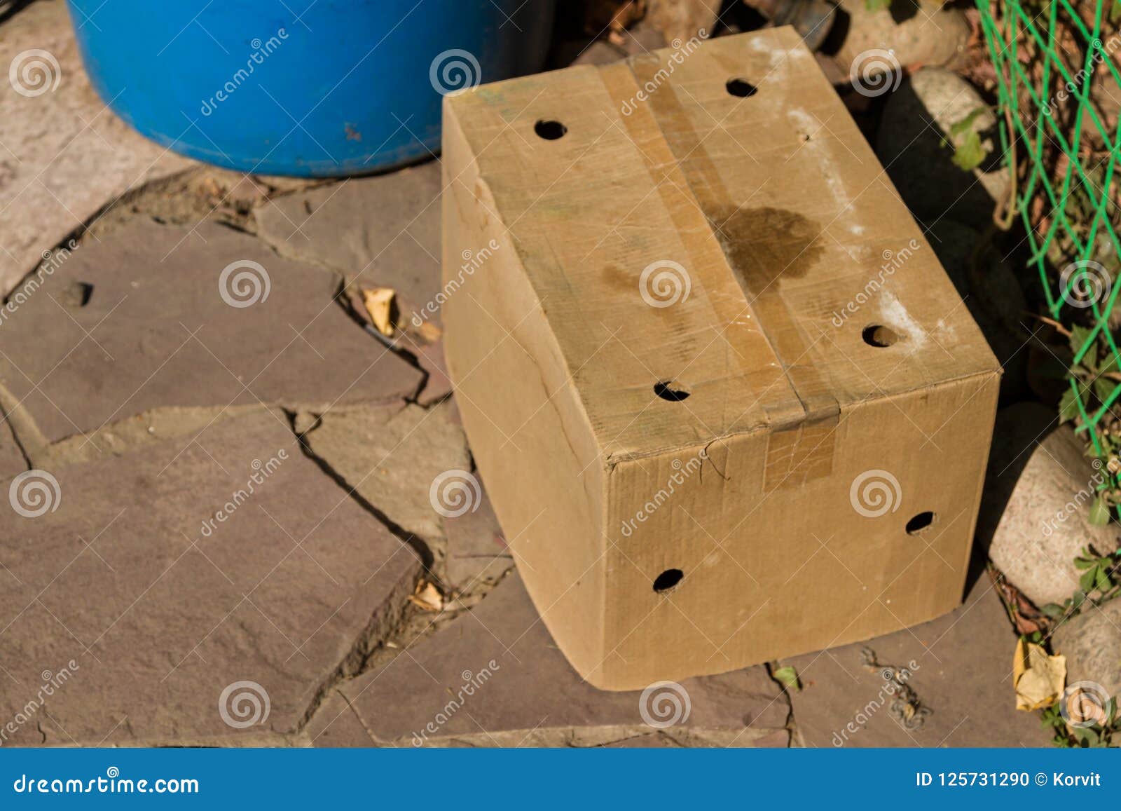 Empty Cardboard Box in Beige Color in the Sun Stock Photo - Image of ...