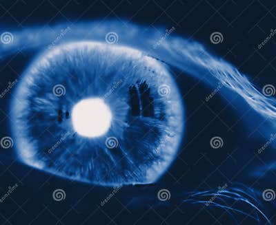 Inverted eye stock photo. Image of digital, colors, people - 548882