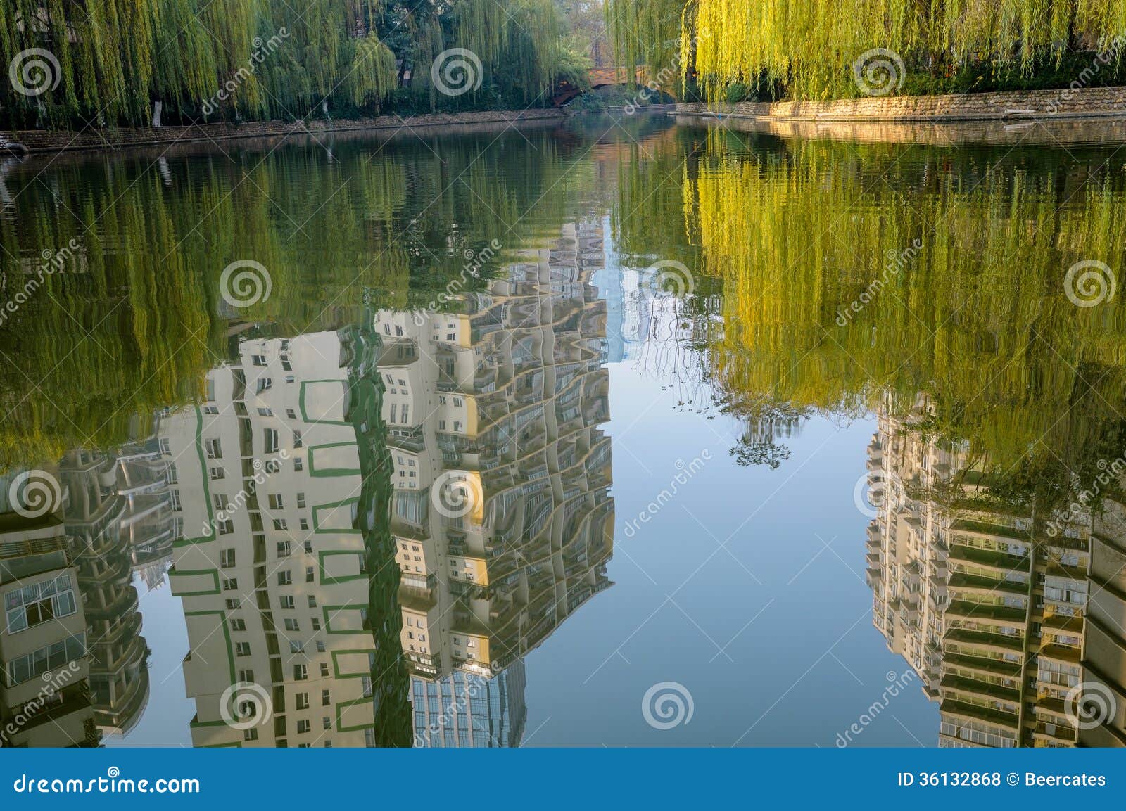 Inverted Image of City in Water Stock Photo - Image of willow, city ...