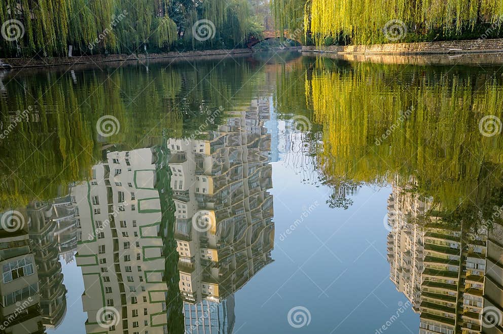 Inverted Image of City in Water Stock Photo - Image of willow, city ...
