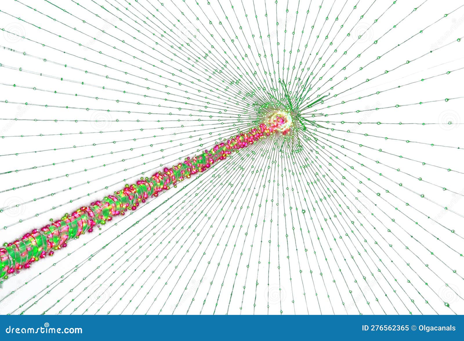 Light Pole On A Background Of Trees At Night Stock Photo ...