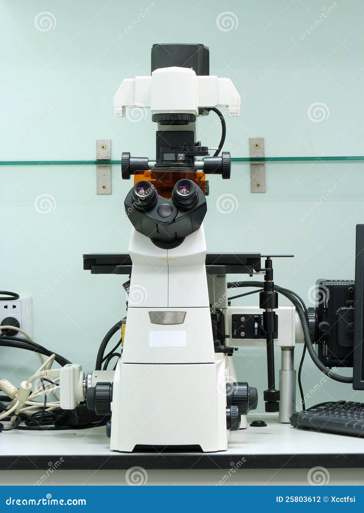 Inverted microscope stock photo. Image of inverted, microscope - 25803612