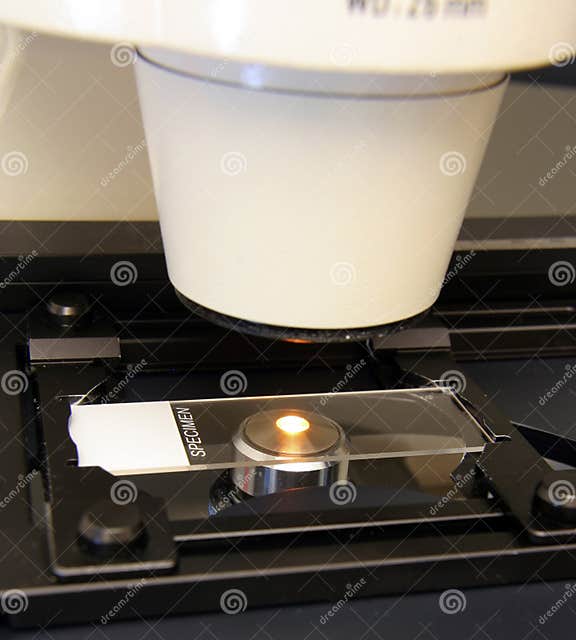 Inverted Microscope with Slide Stock Photo - Image of science ...