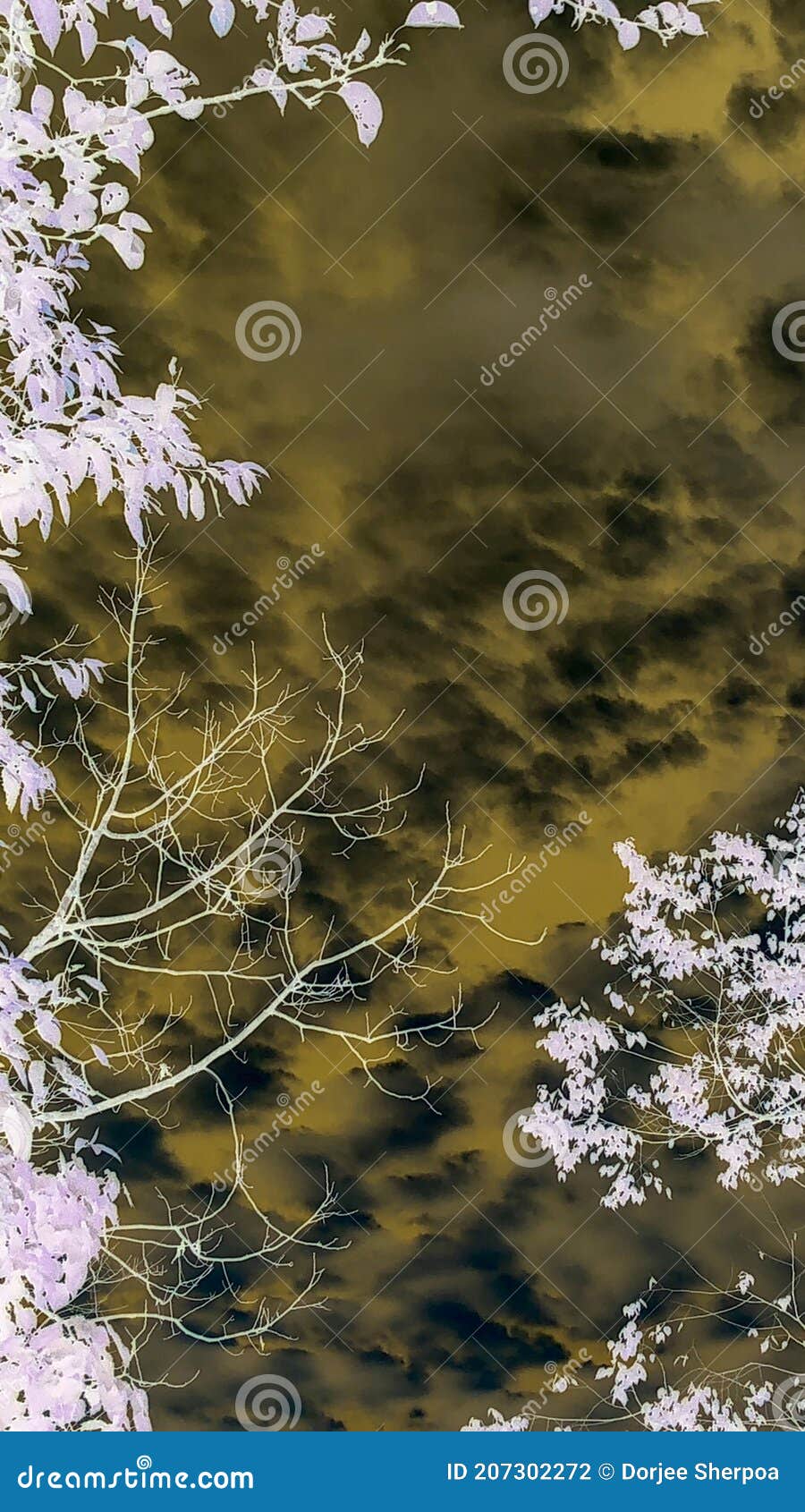Inverted COLORS of NATURE is AS BEAUTUFUL AS it is Stock Photo - Image ...