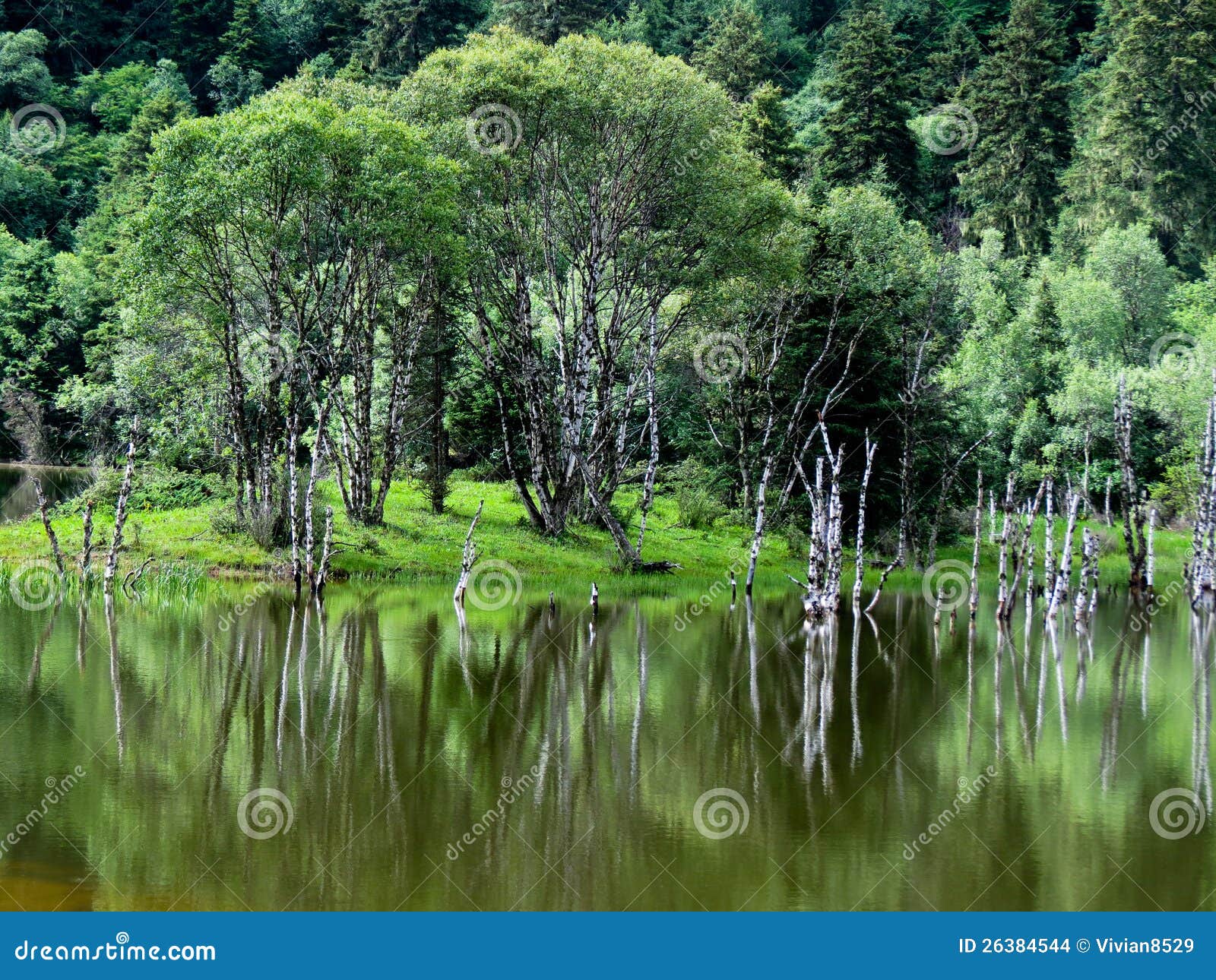 Inverted Reflection in Water Stock Photo - Image of calm, peace: 26384544