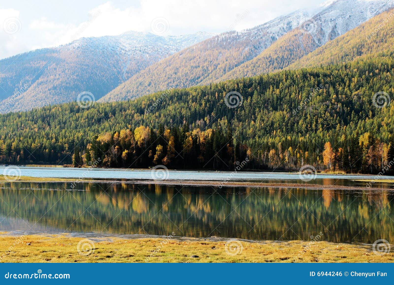 Inverted Reflection in Water Stock Photo - Image of fall, autumn: 6944246