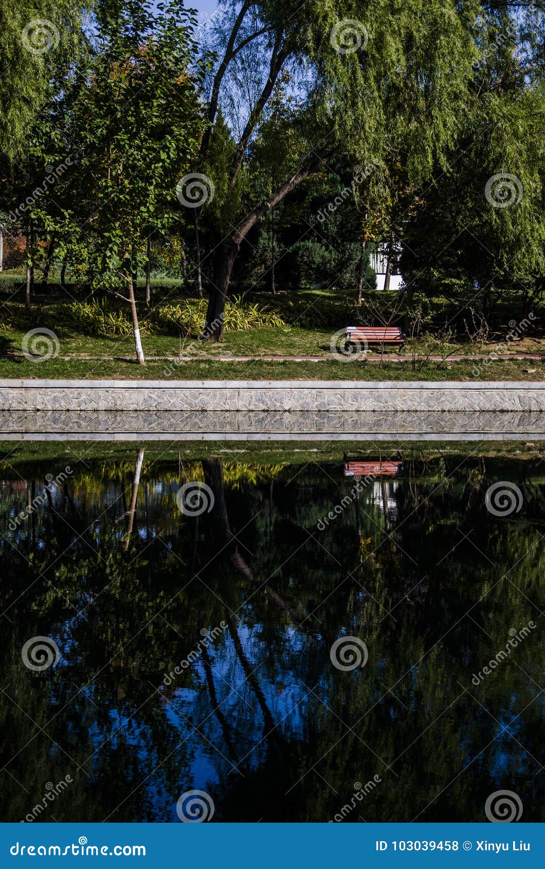 Inverted Reflection in Water Stock Photo - Image of lake, reflection ...
