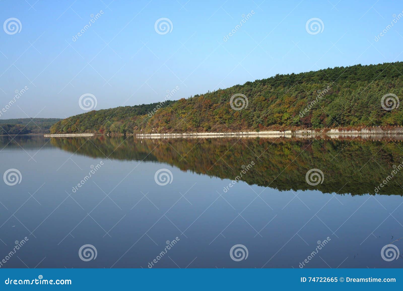 Inverted Reflection in Water Stock Image - Image of fresh, lake: 74722665