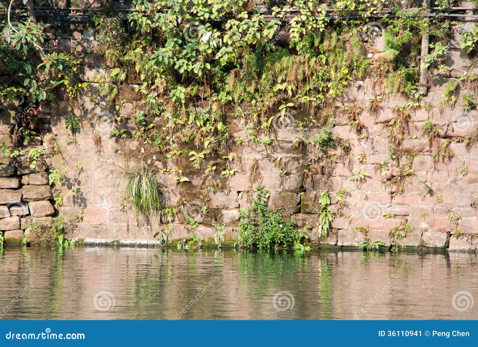 Inverted Reflection in Water Stock Image - Image of light, sunset: 36110941
