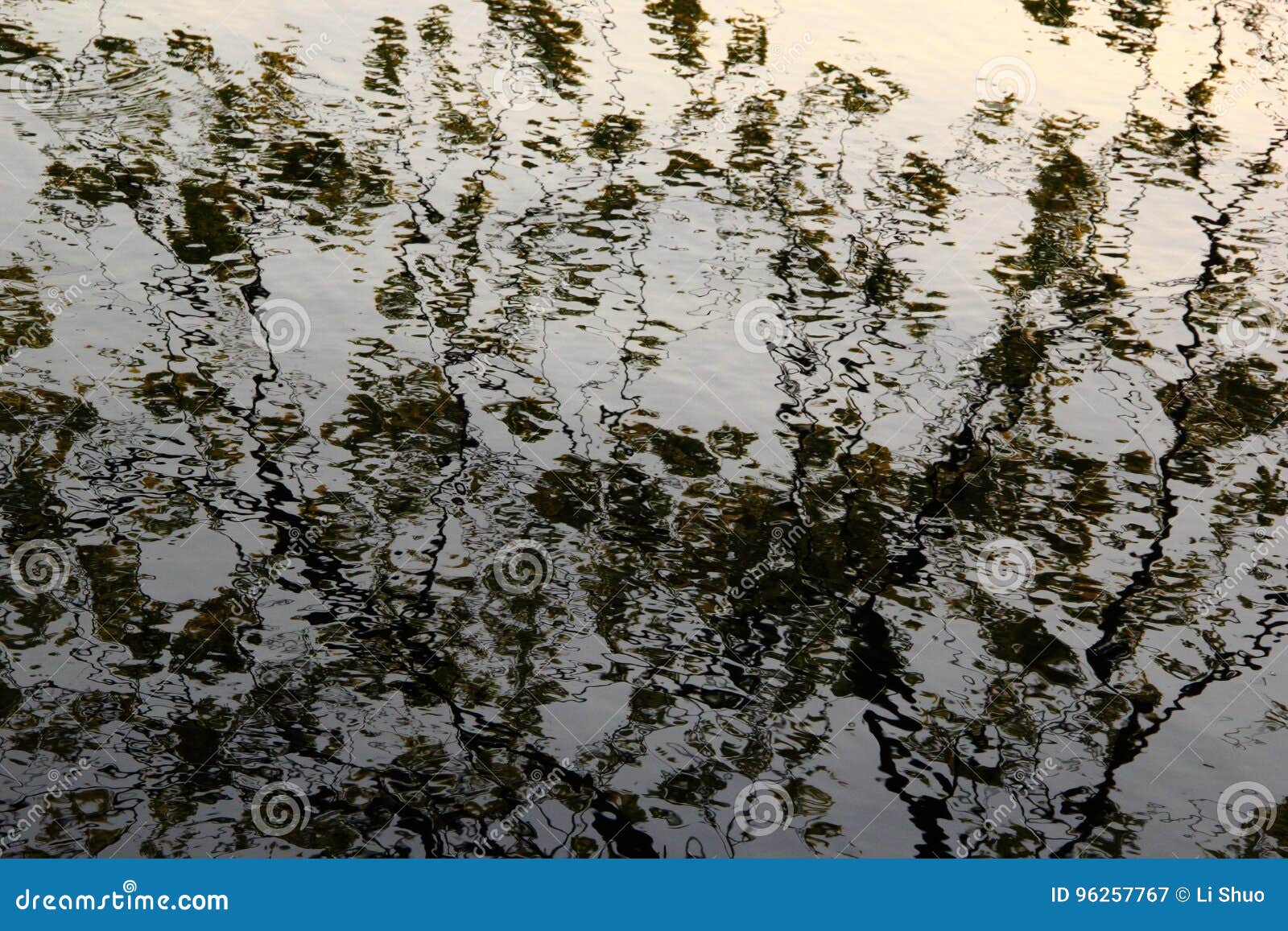 Inverted Reflection in Water Stock Image - Image of trees, water: 96257767