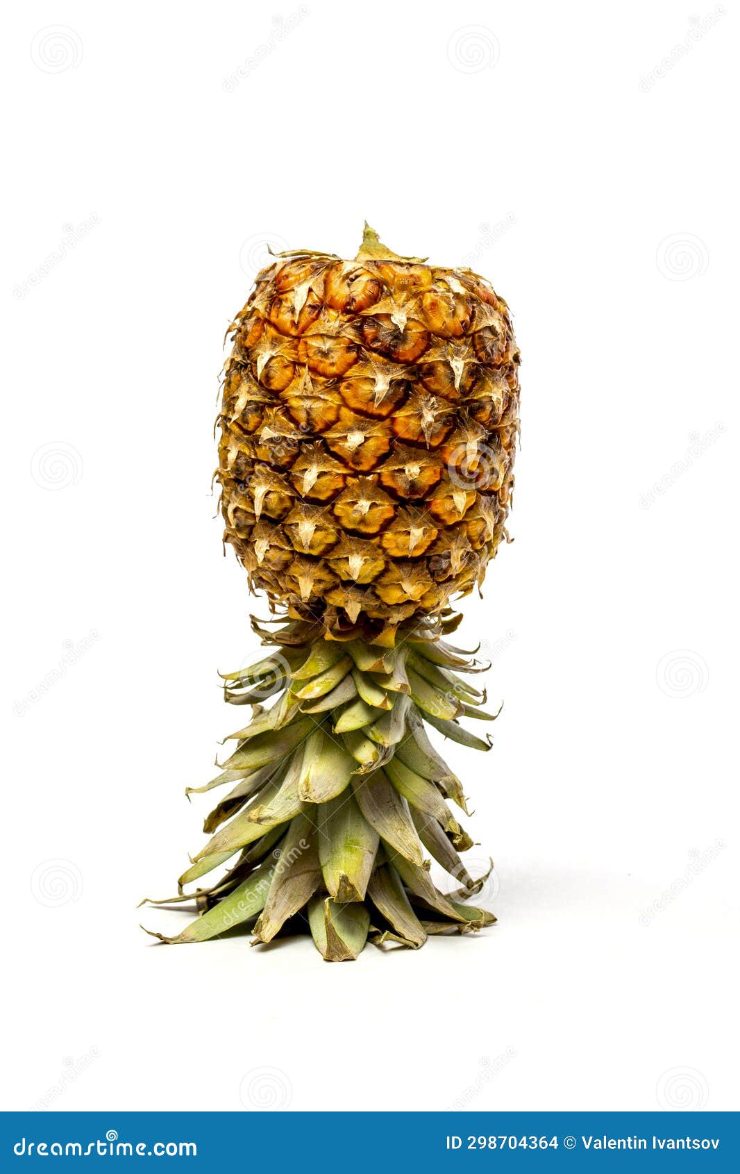Inverted Ripe Pineapple on White Background Stock Photo - Image of ...
