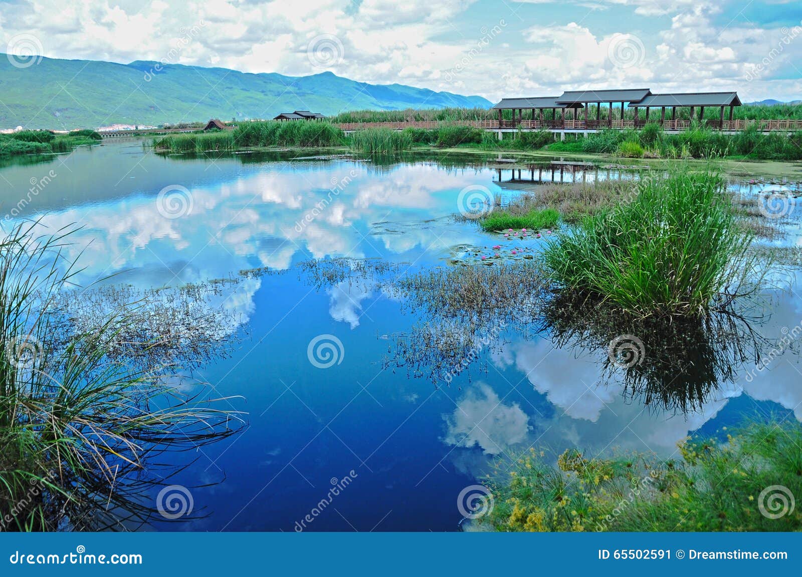Inverted Sky Image in the Grass Lake Stock Image - Image of reflection ...