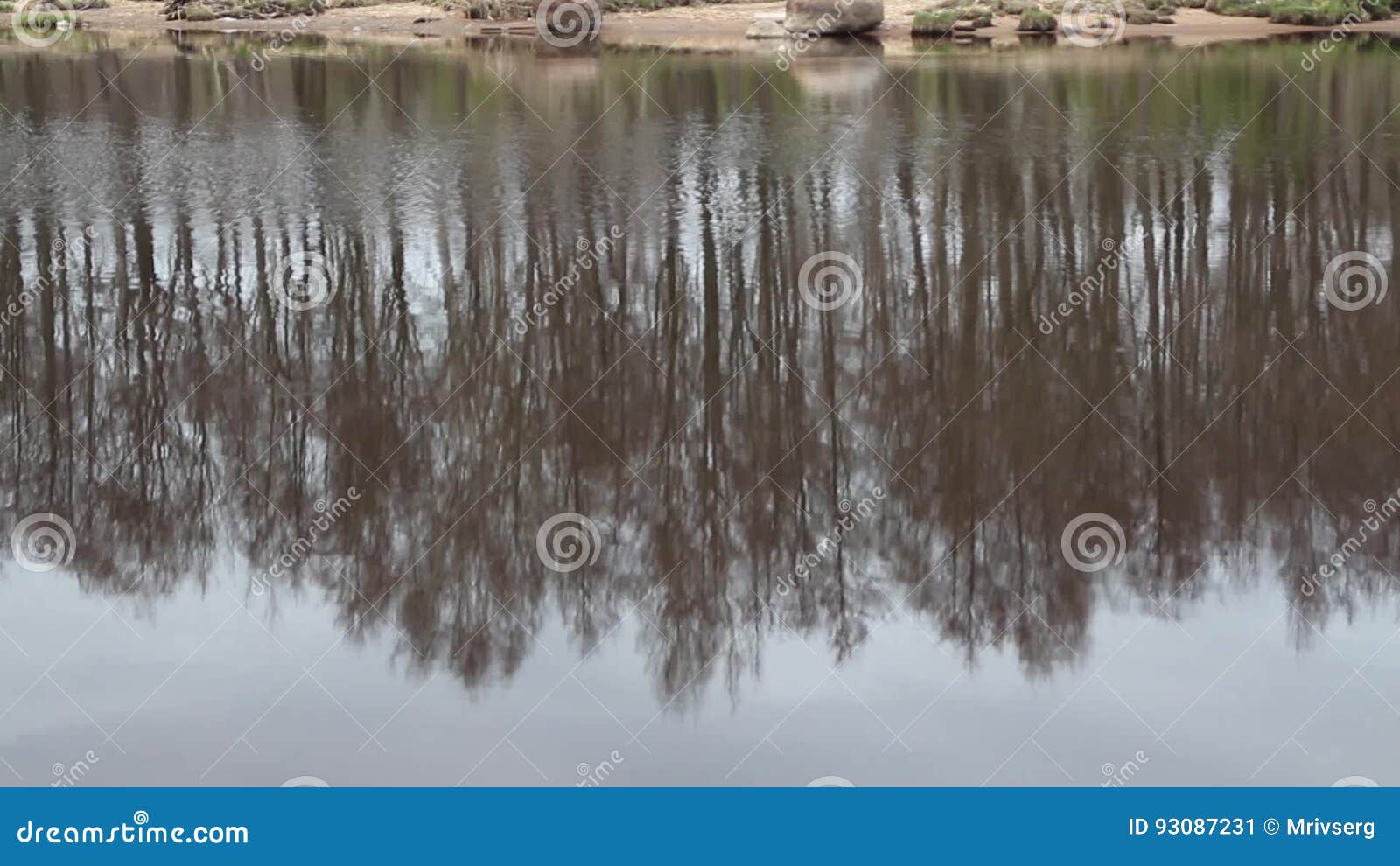 Inverted Spring Forest Reflected in a River Stock Video - Video of ...