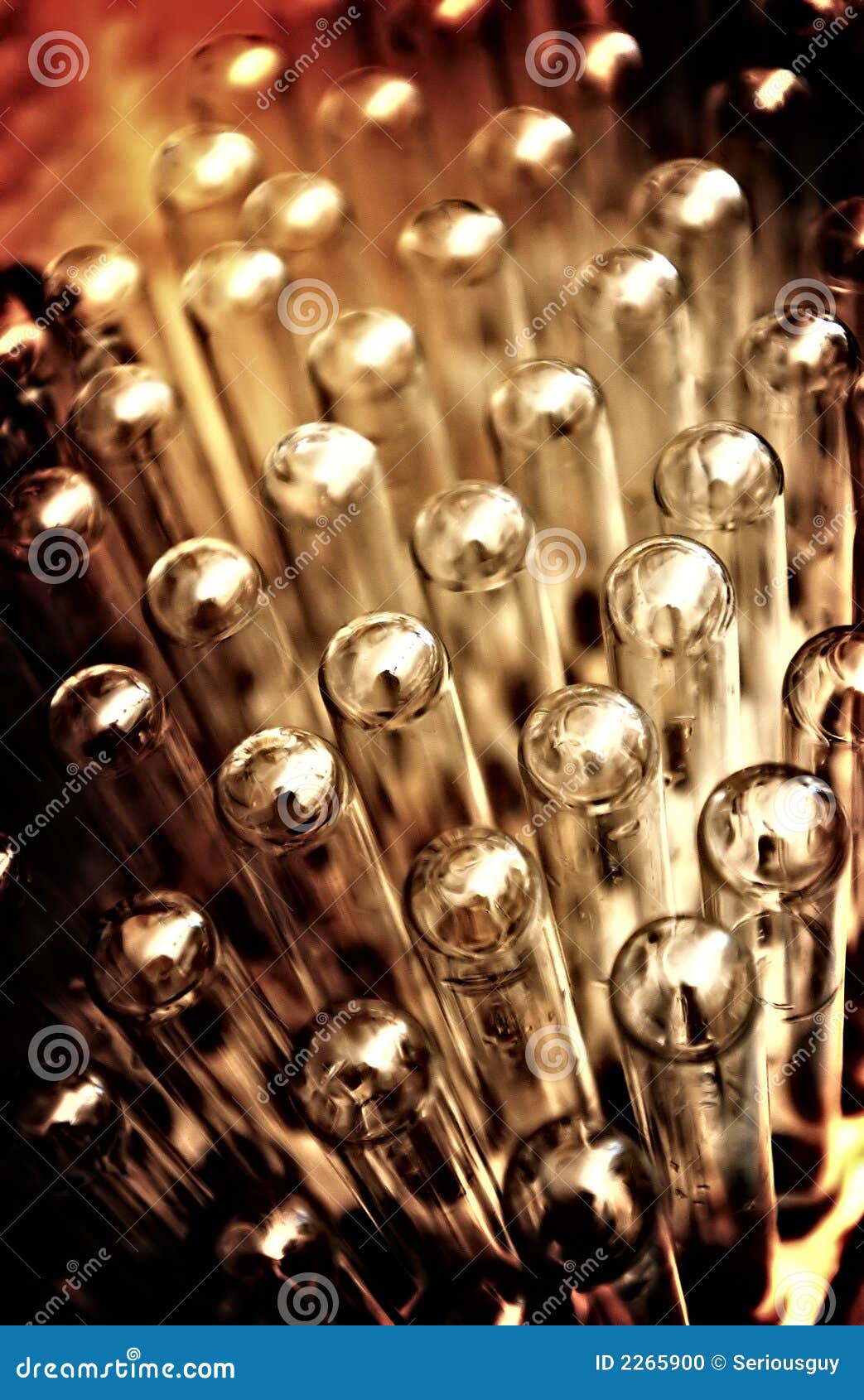 Inverted Test Tubes with Holga Stock Photo - Image of test, vial: 2265900