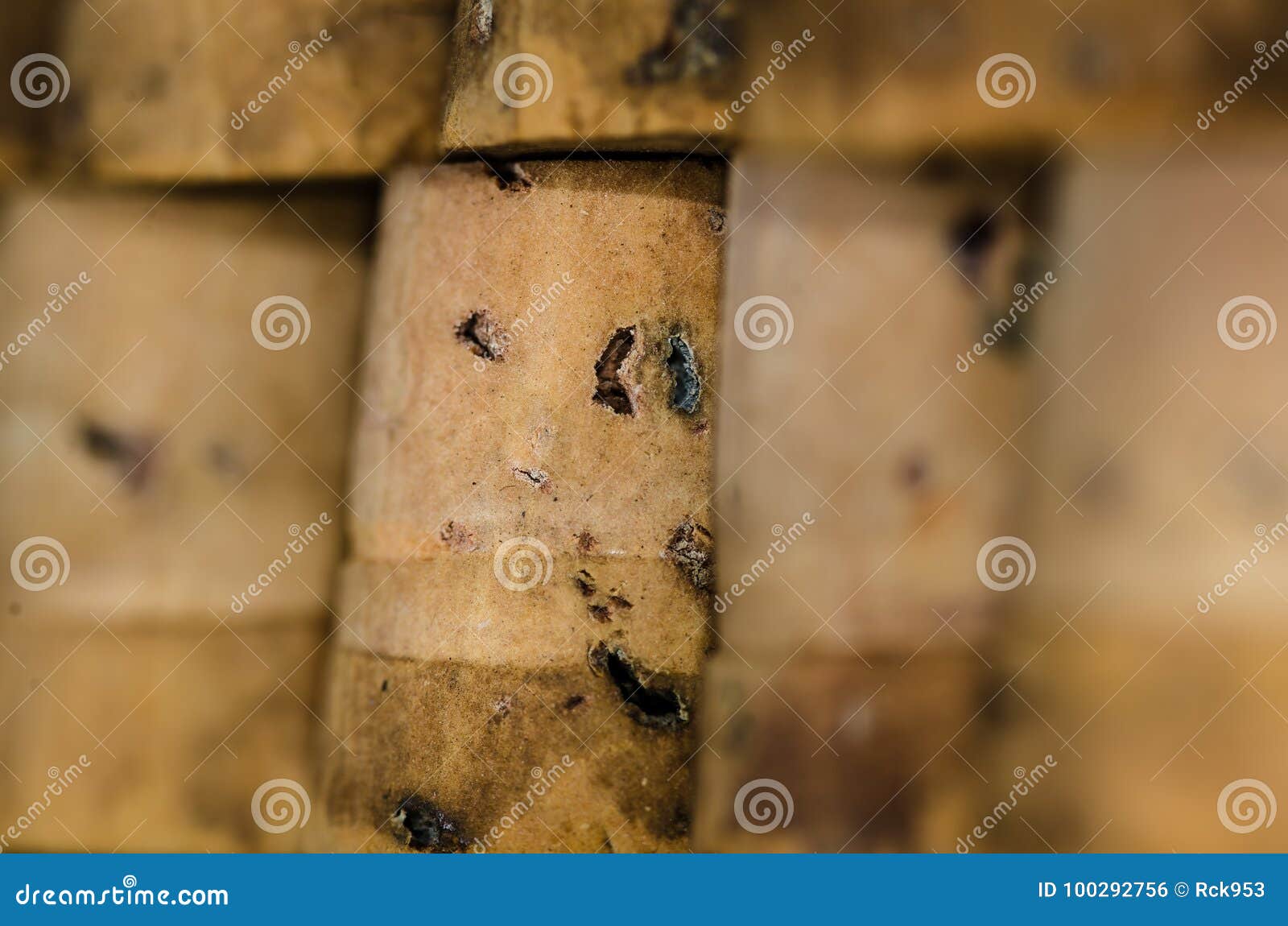Inverted Vial Corks Standing in a Row Stock Photo - Image of cork ...