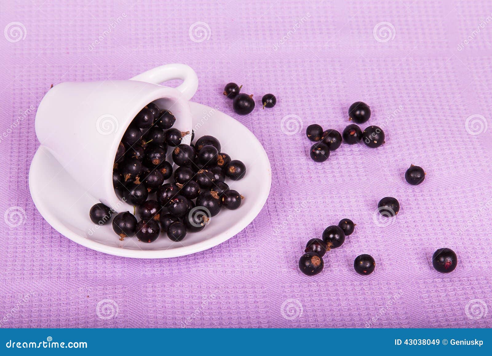 Inverted White Cup with Black Currants Stock Image - Image of healthy ...