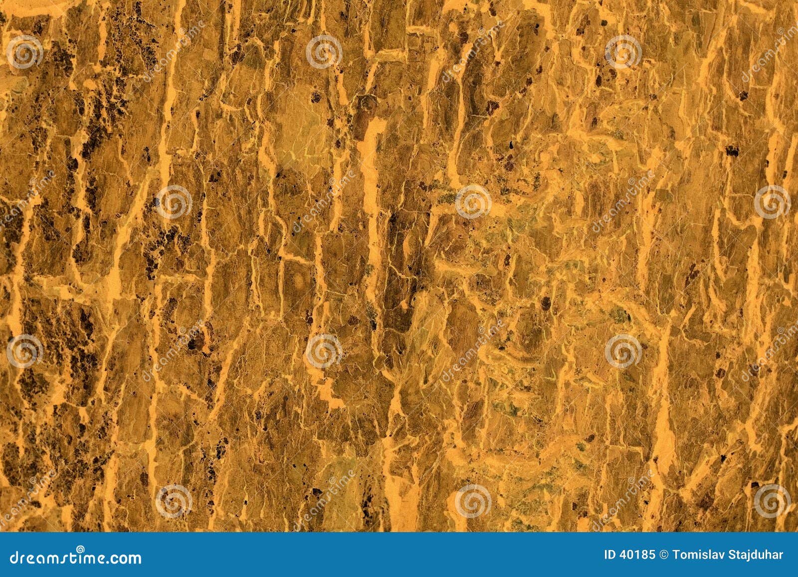 Inverted wood texture stock image. Image of golden, forrest - 40185