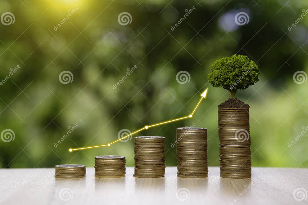 Invest Concept. Green Tree Growing on Gold Coins. Growing Power of ... Invest Concept. Green Tree Growing on Gold Coins. Growing Power of ...