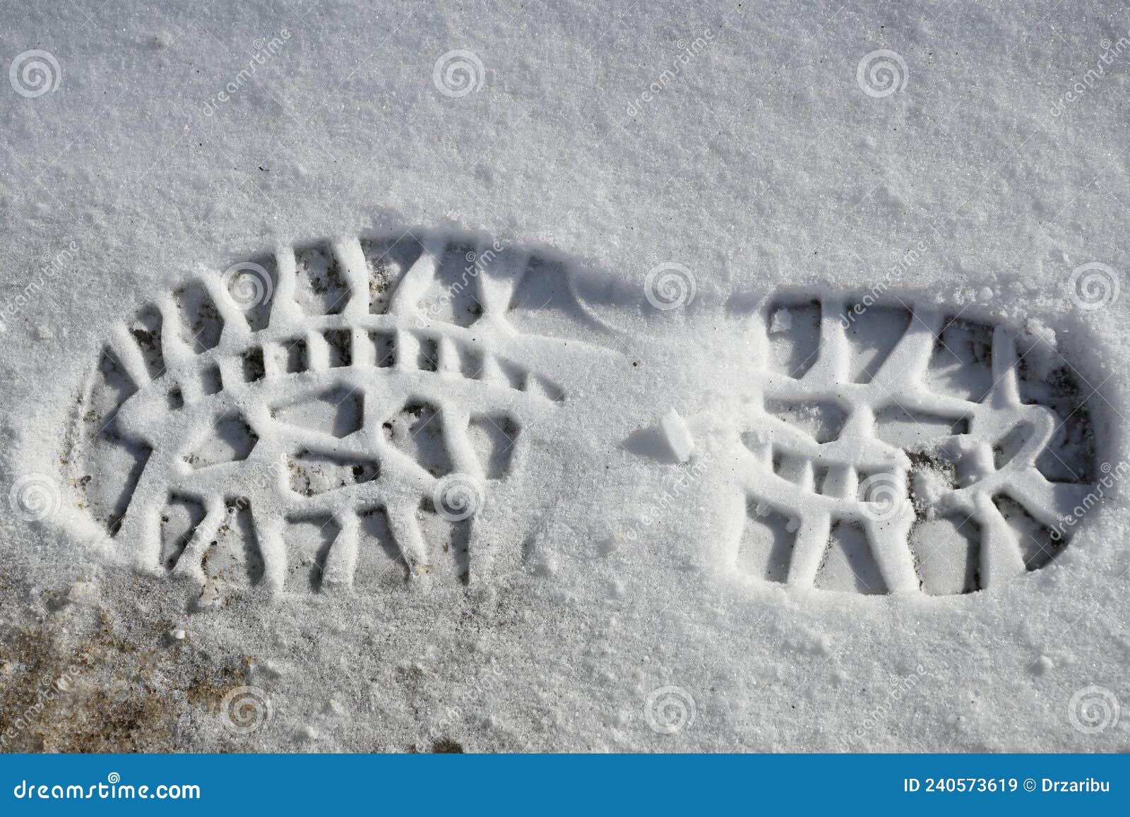 Investigation of Forensic Footprints Left in the Snow Stock Image ...