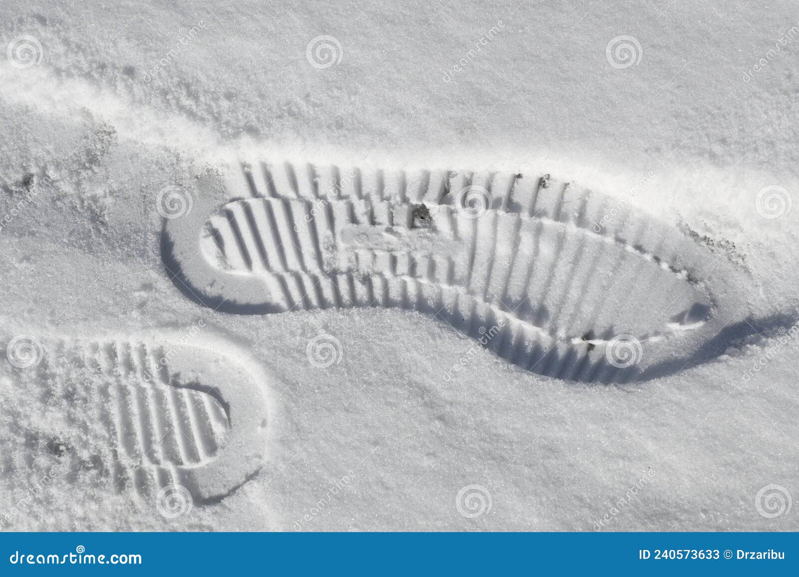 Investigation of Forensic Footprints Left in the Snow Stock Image ...