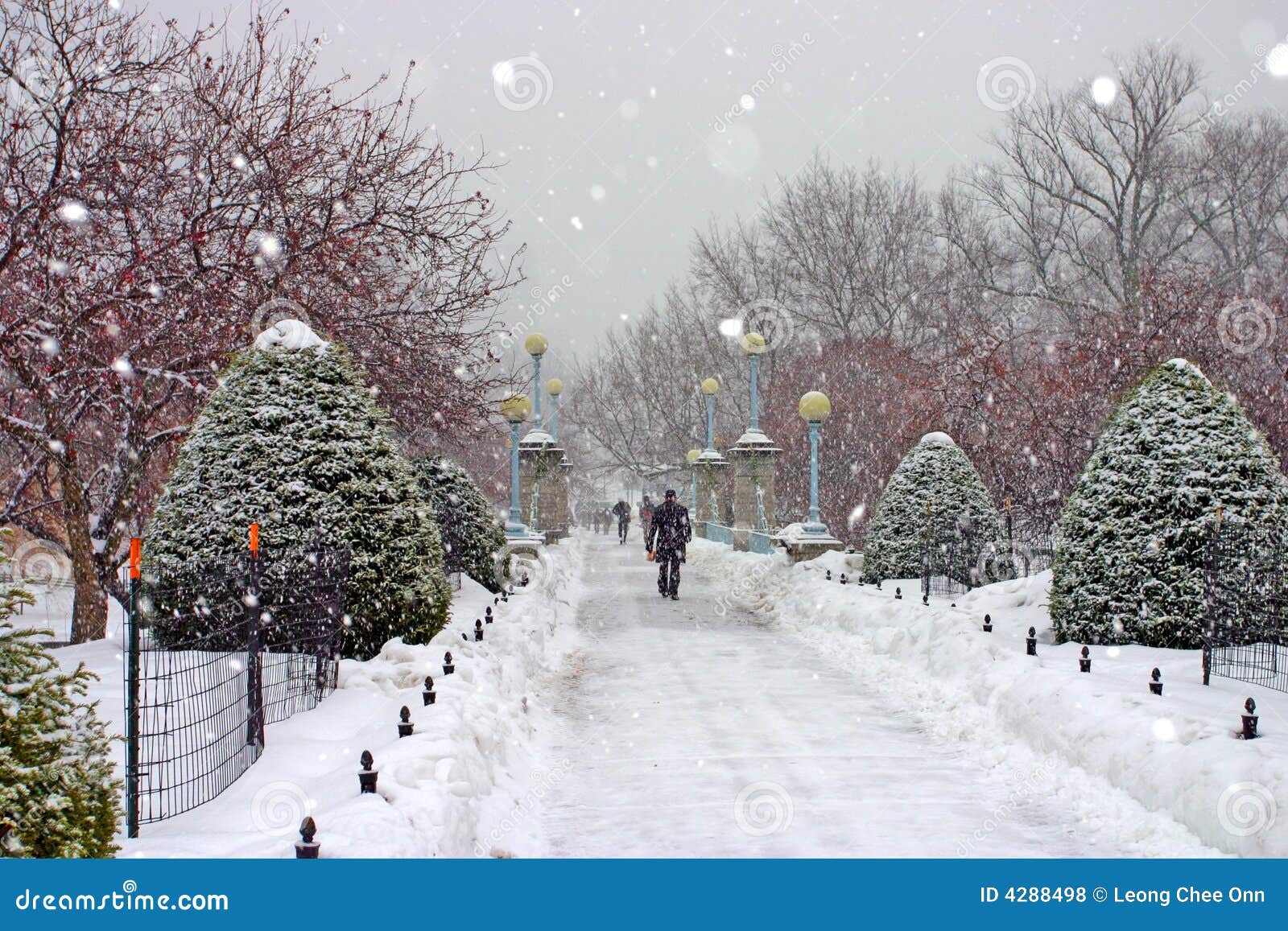 Invierno de Boston foto de archivo. Imagen de viejo, inglaterra - 4288498