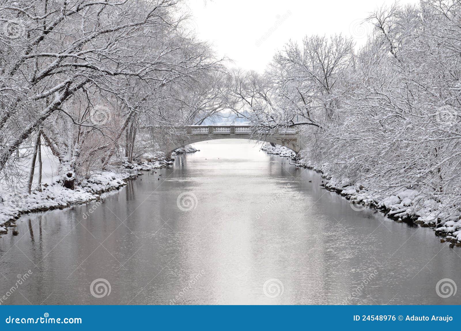 Invierno En Madison, Wisconsin Foto de archivo - Imagen de puente ...