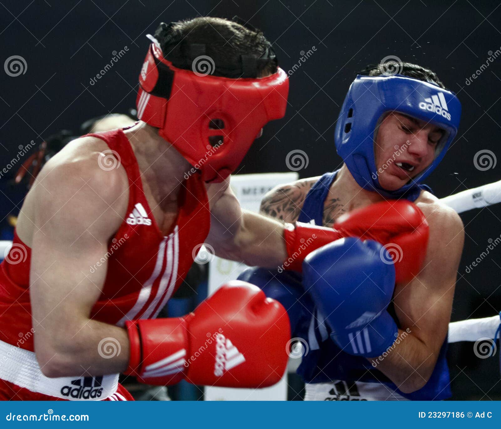 The Invincibles 6 Boxing Gala Editorial Photo - Image of galla, boxing ...