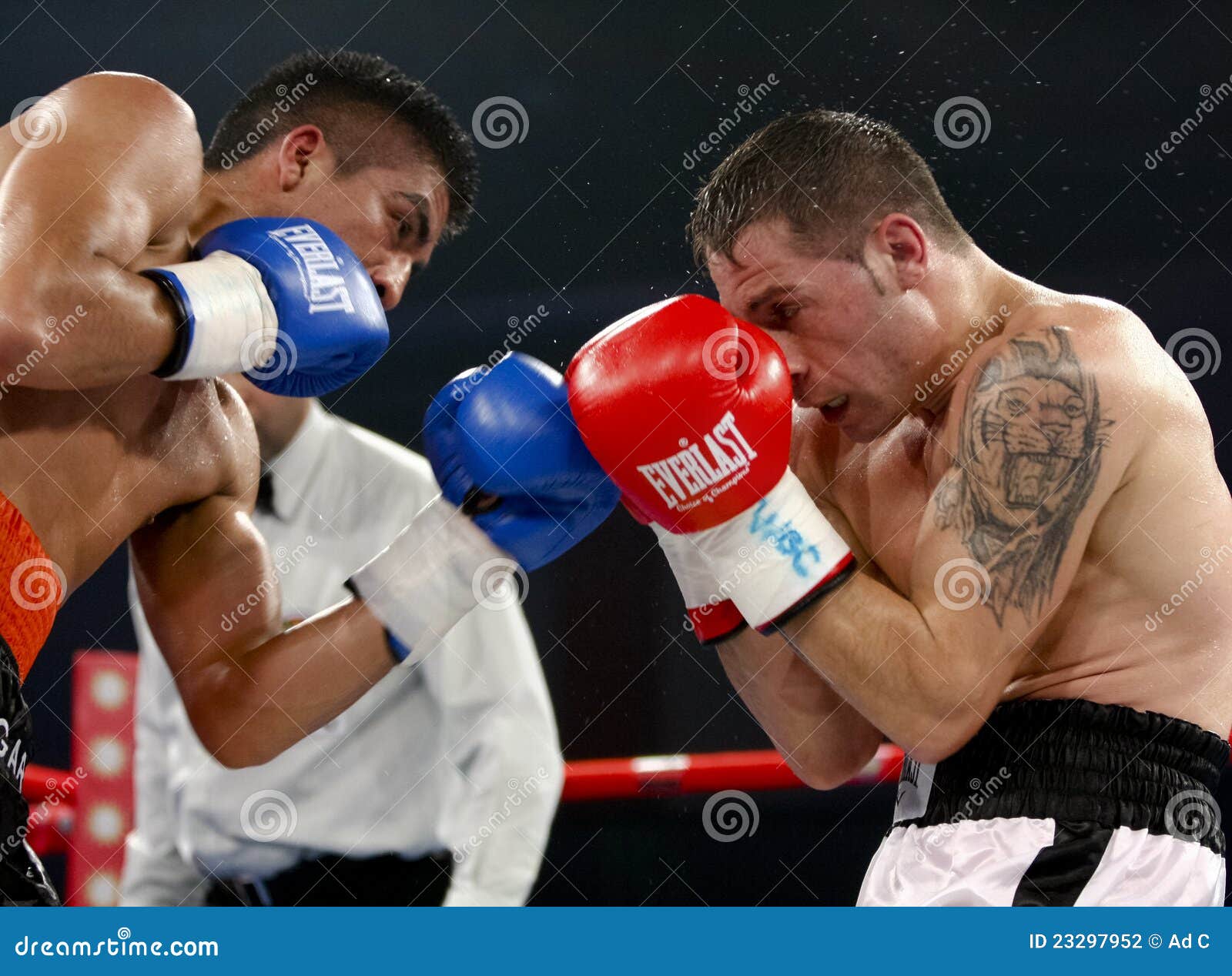 The Invincibles 6 Boxing Gala Editorial Photography - Image of ...