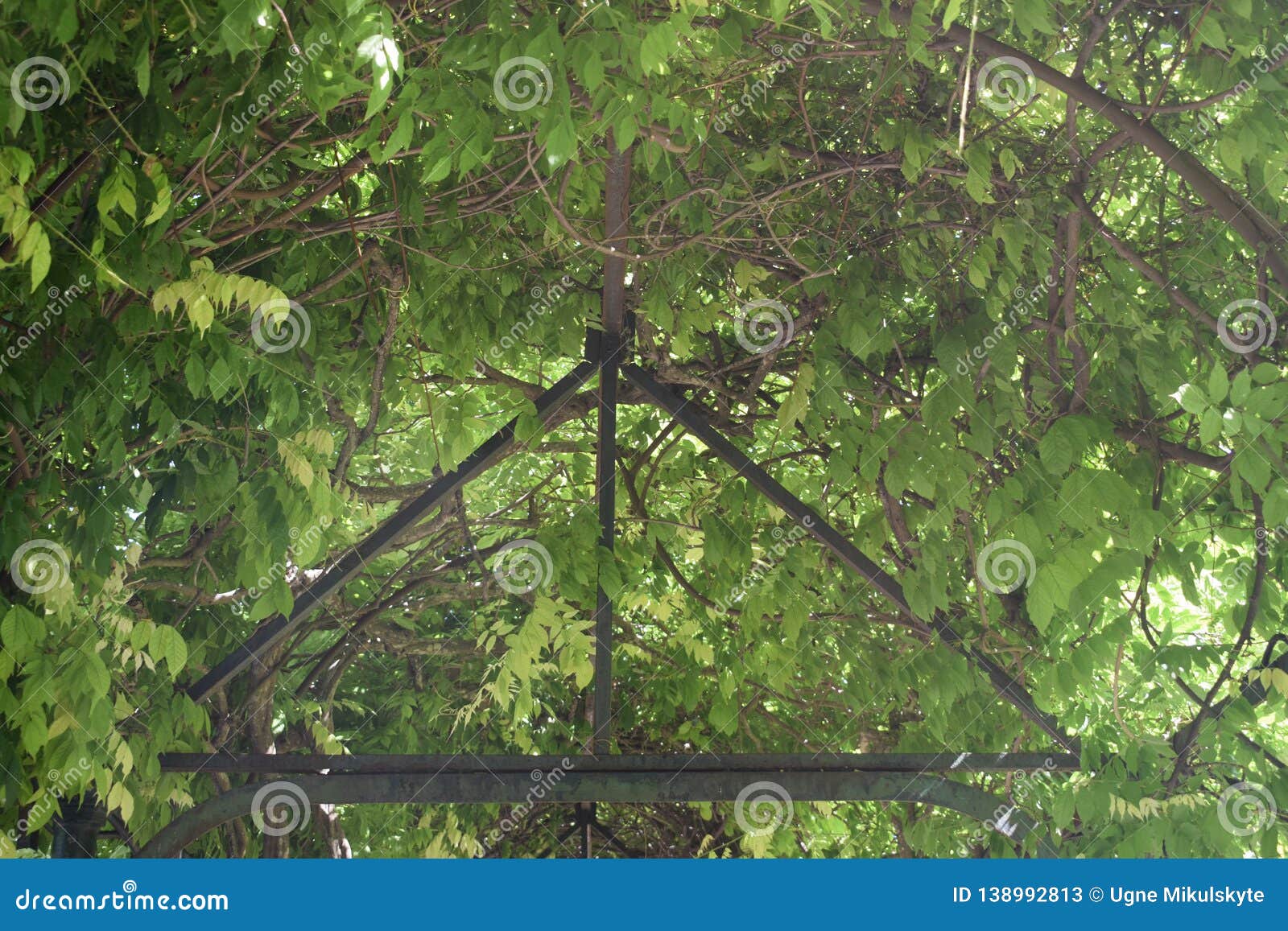 Invisible Triangle Absorbed by Leaves Stock Image - Image of lost ...