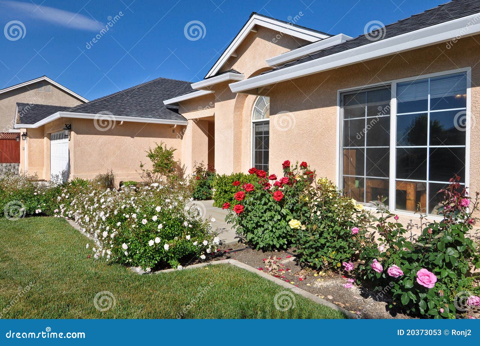 Inviting Home stock image. Image of blue, roses, view - 20373053