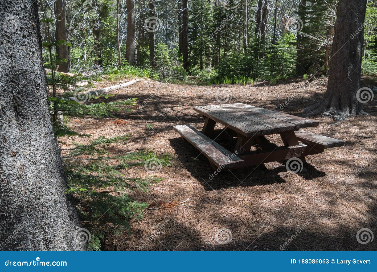 Picnic Table at the Campground Stock Image - Image of nature, inviting ...