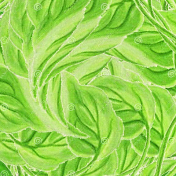 Involute leaves stock illustration. Illustration of geometry - 10766361