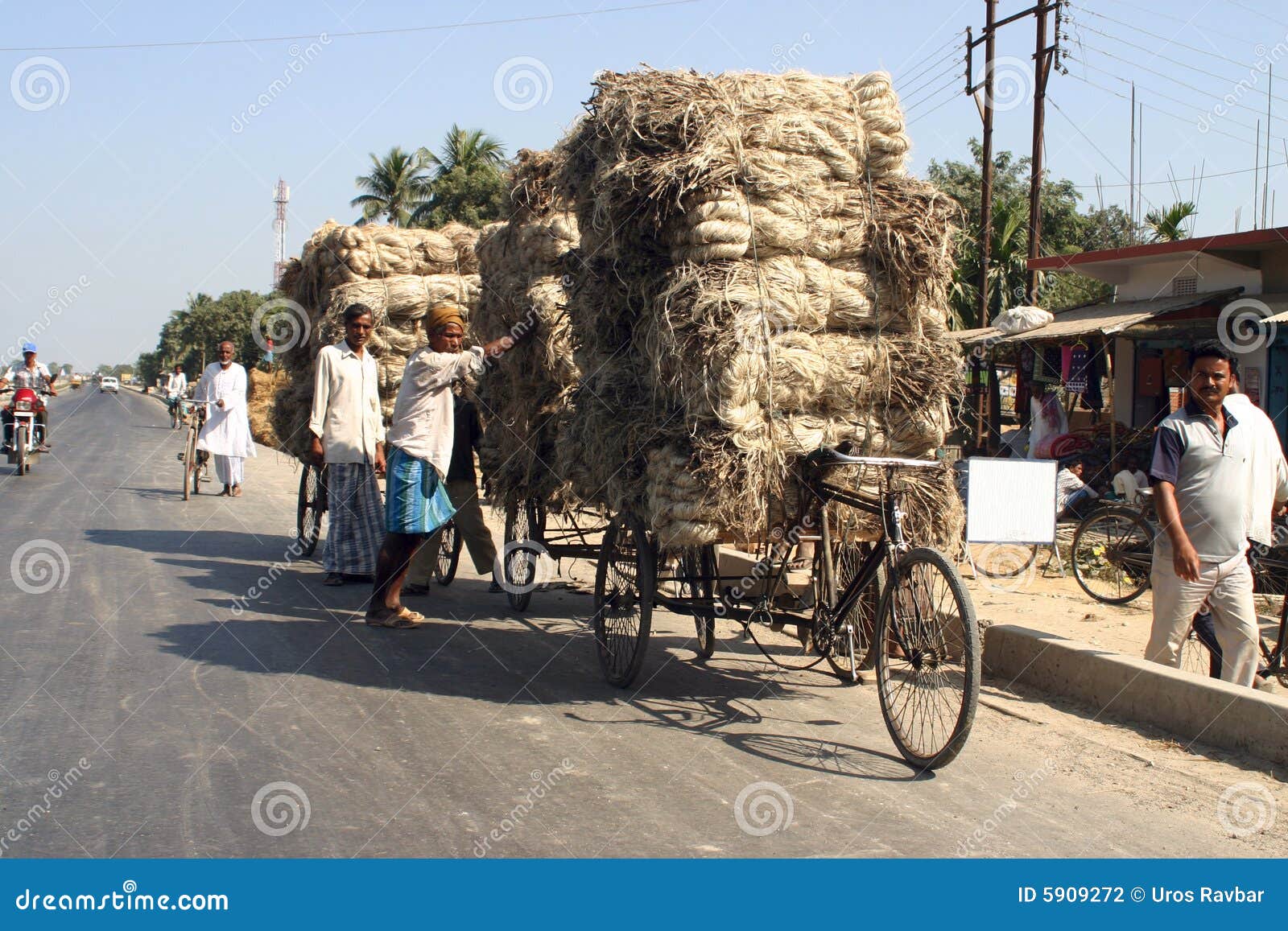 Inwoners van India redactionele fotografie. Image of naturalisten - 5909272