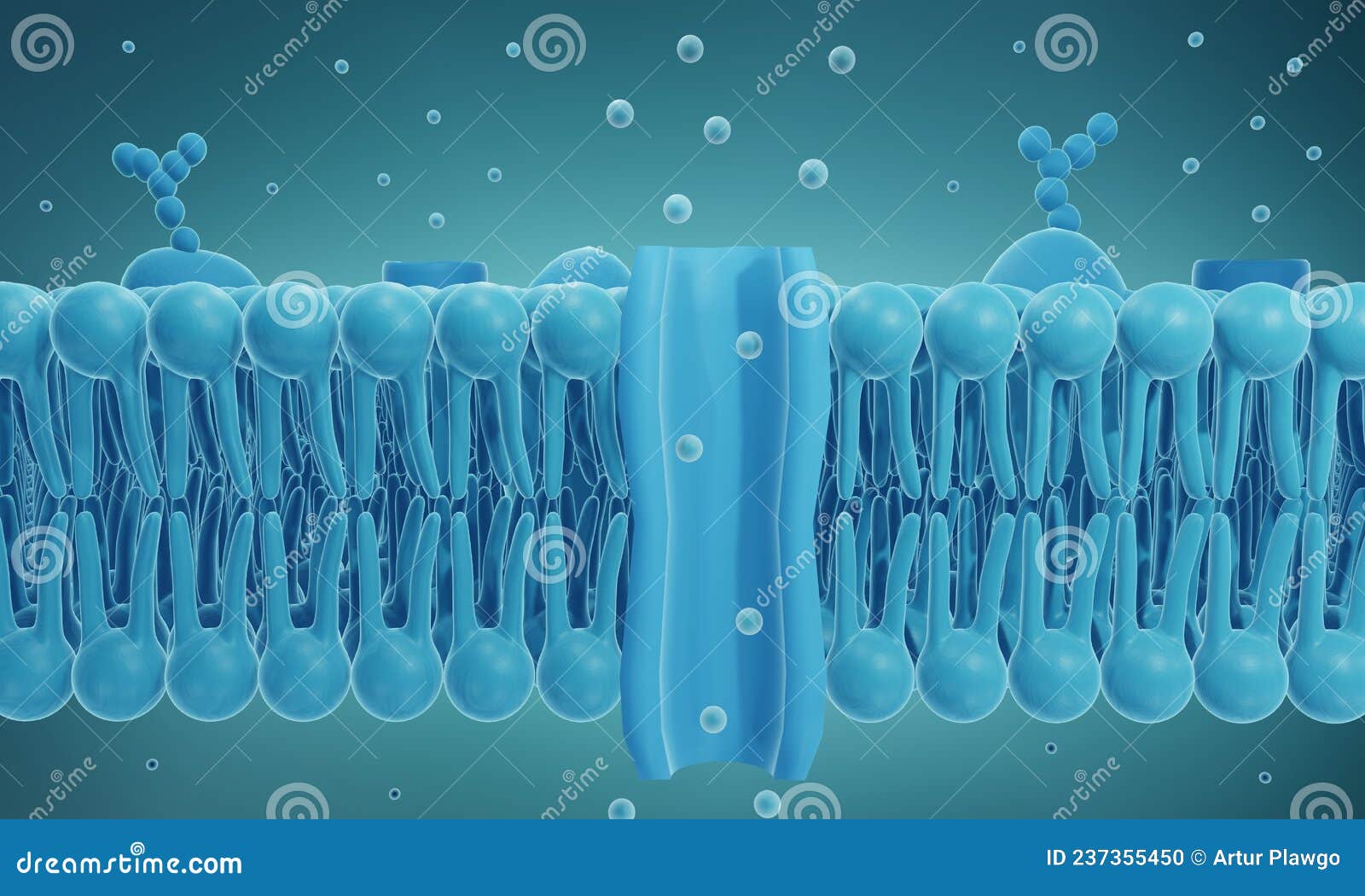 Ion Channel in Cell Membrane Stock Illustration - Illustration of ...