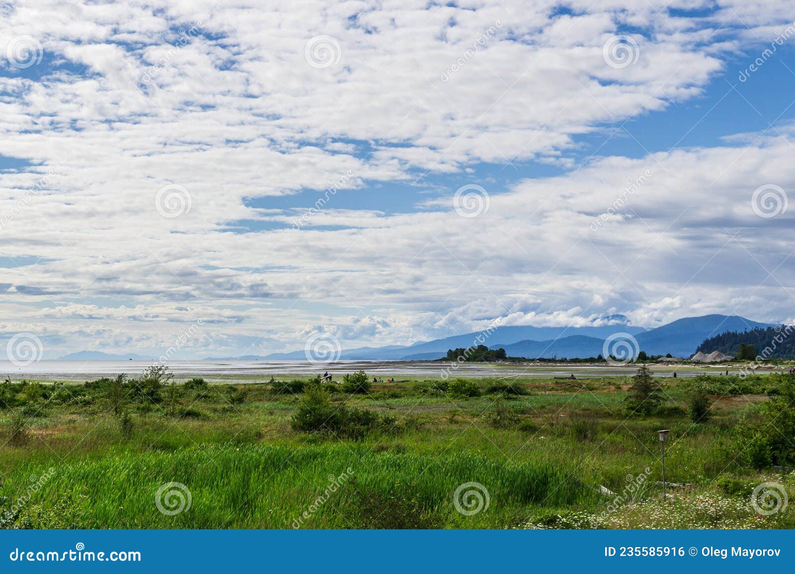 Iona Beach Regional Park Area with Trees Summer Time Stock Photo ...