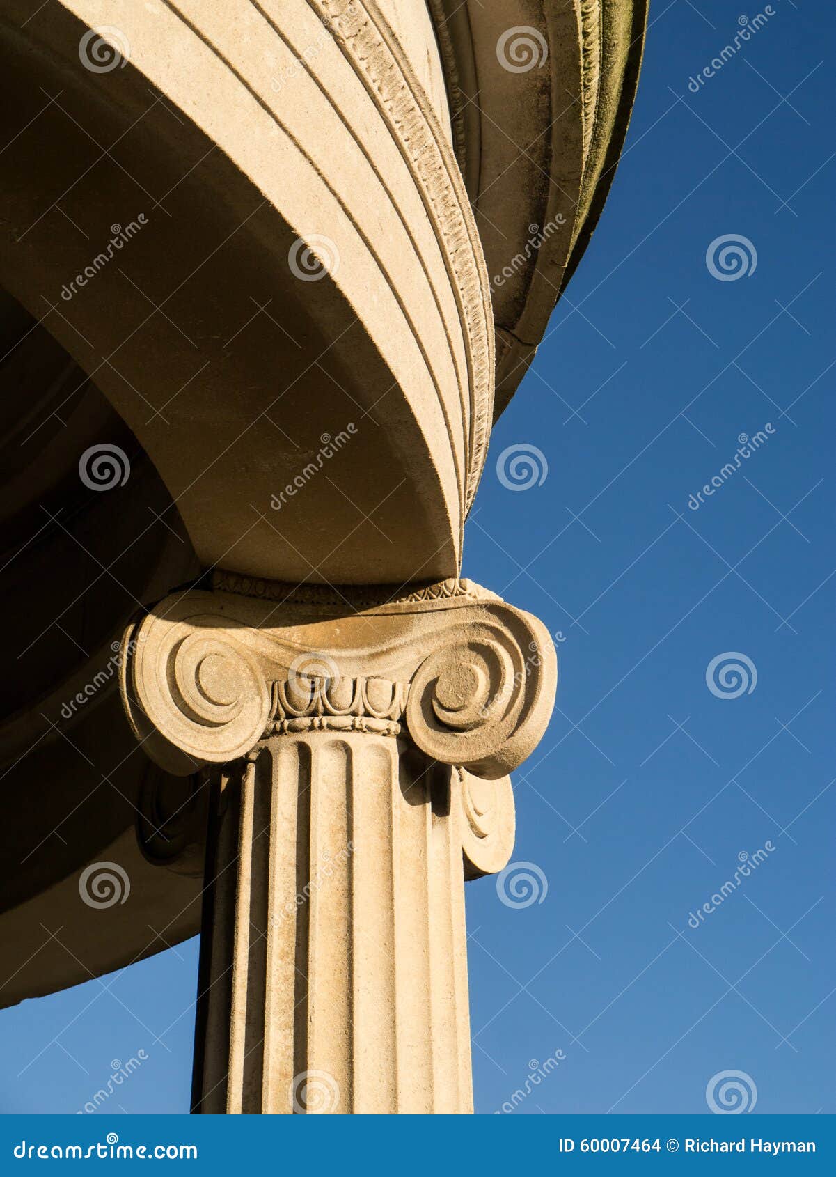 Ionic capital stock photo. Image of vertical, masonry - 60007464