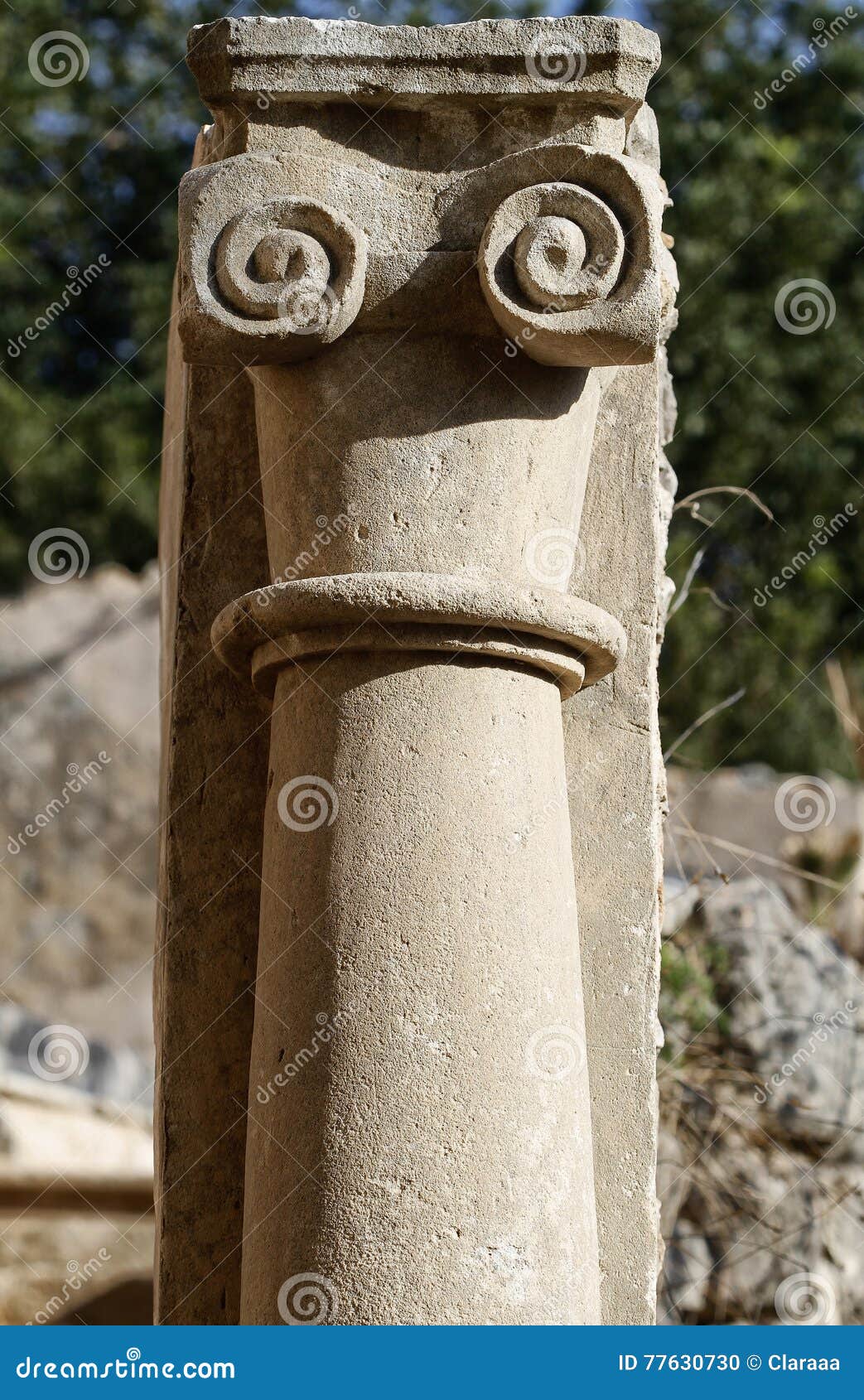 Ionic order column stock photo. Image of canonic, greek - 77630730