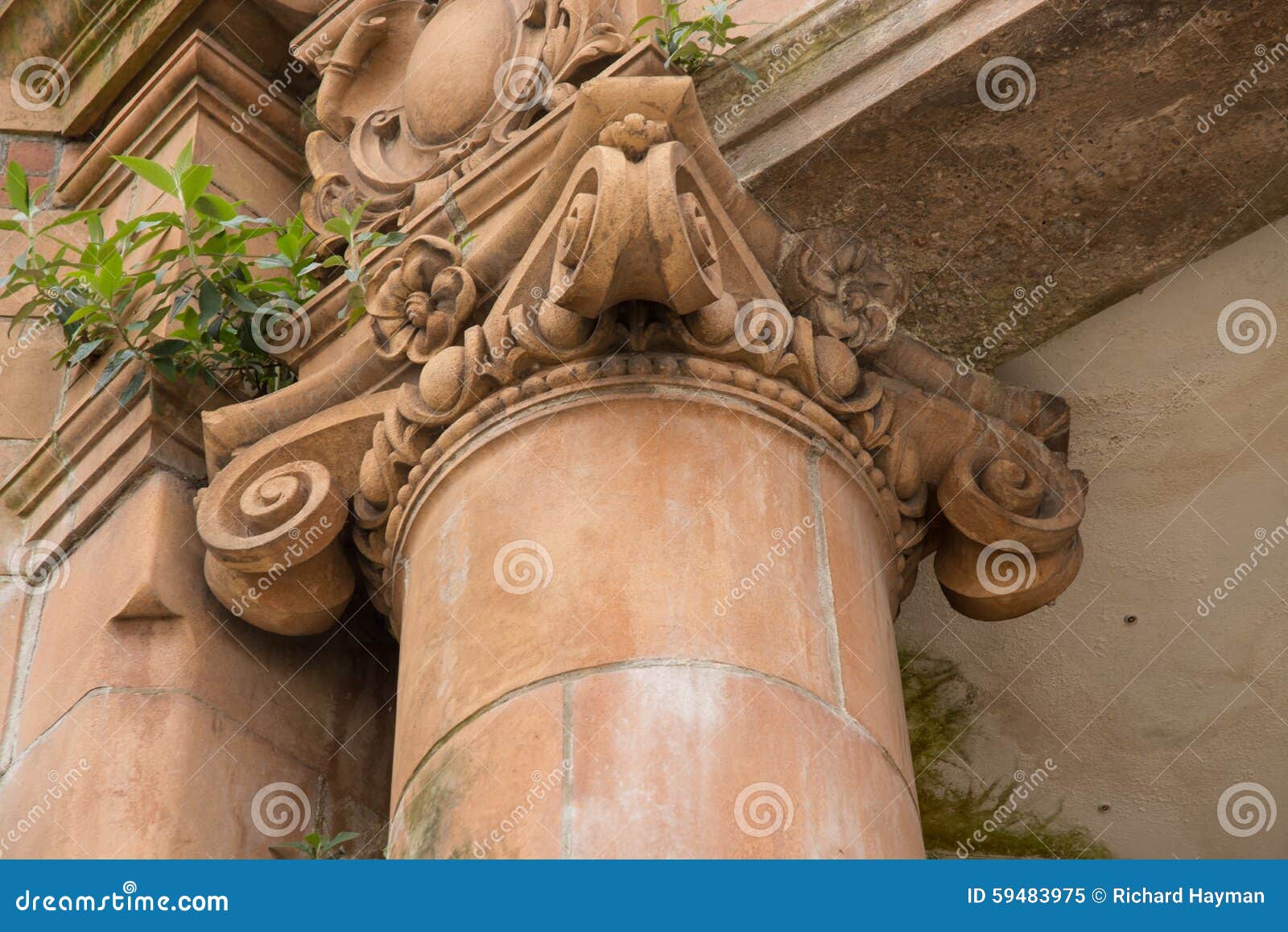 Ionisch kapitaal stock afbeelding. Image of kolom, kapitaal - 59483975