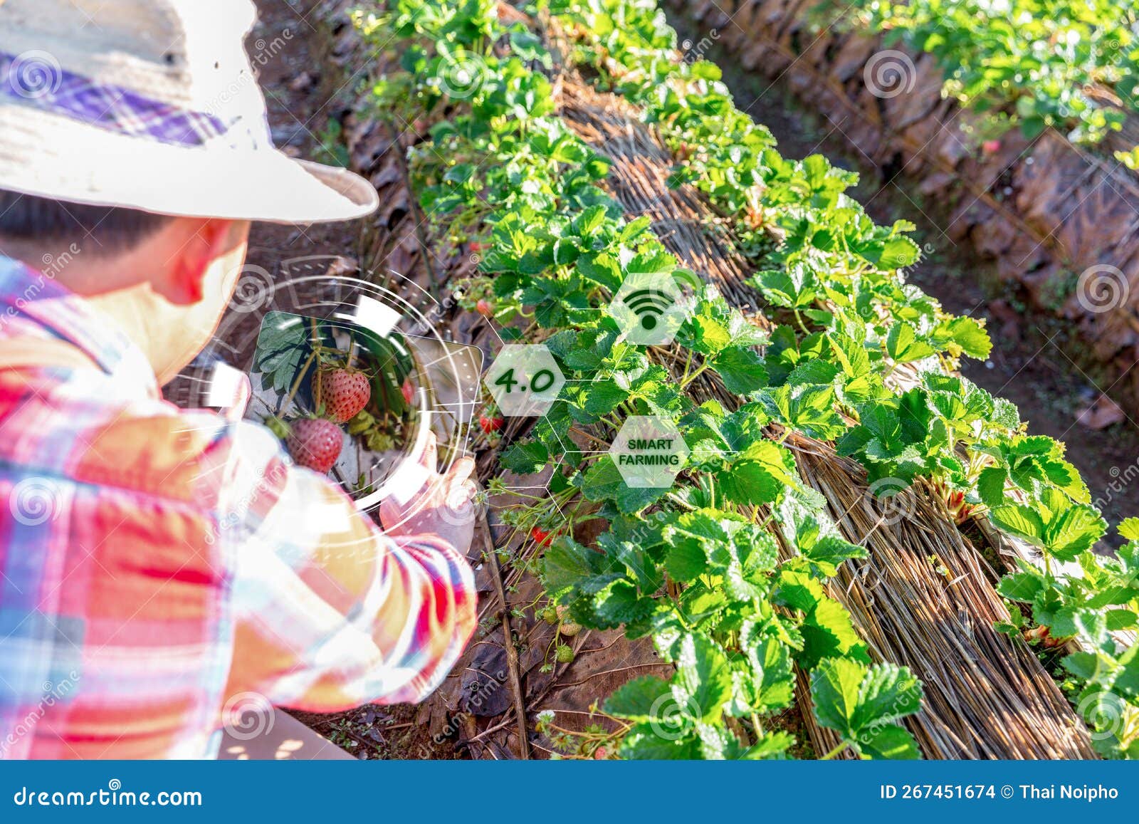 IoT, Internet of Things Modern Agriculture Smart Farming System Concept ...