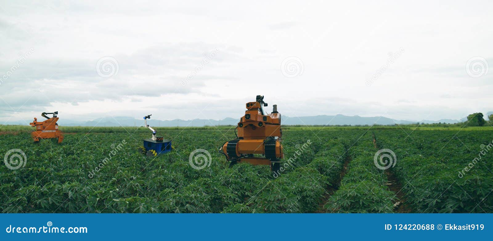 Iot Smart Agriculture Industry 4.0 Concept Stock Photo - Image of ... Iot Smart Agriculture Industry 4.0 Concept Stock Photo - Image of ...