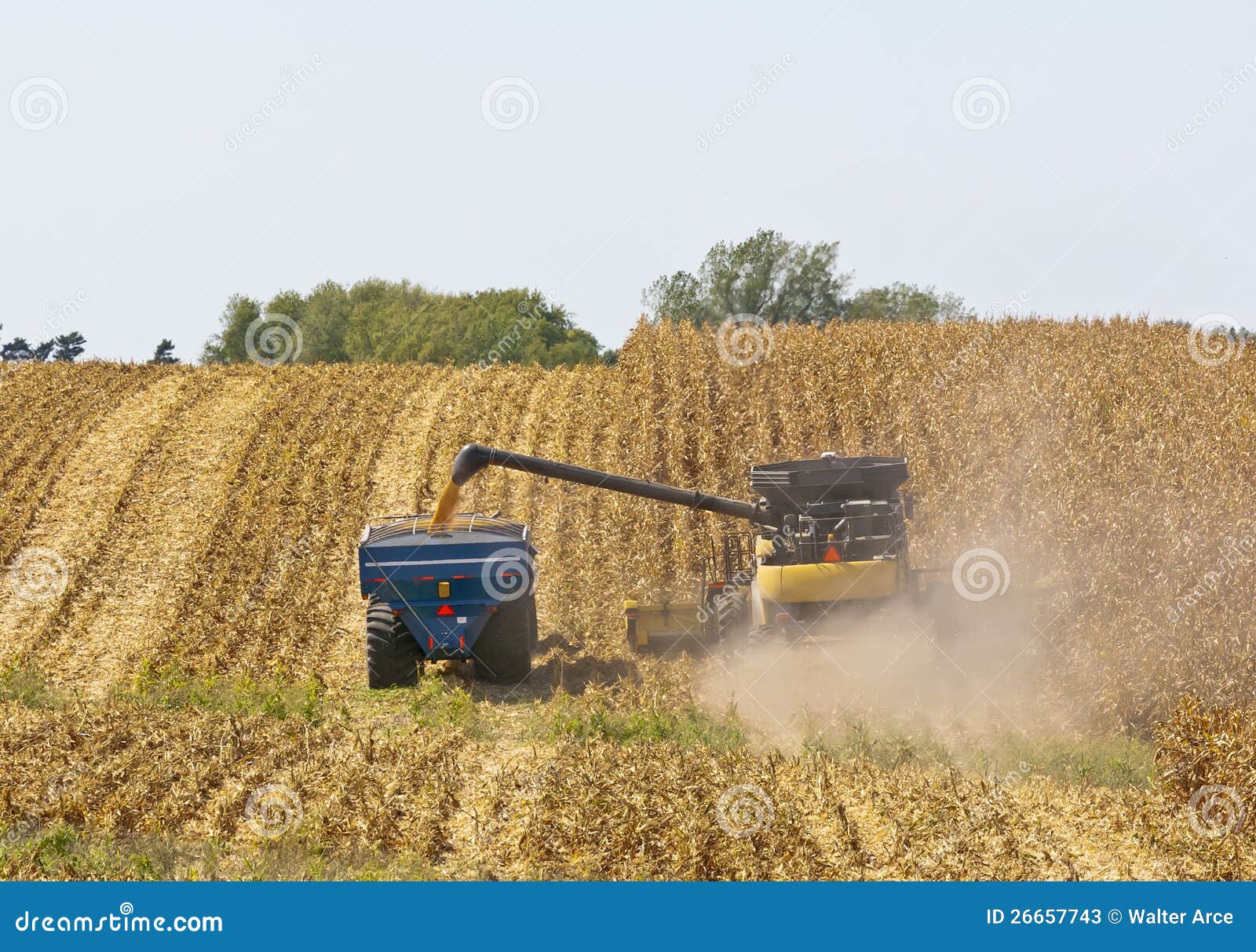 Iowa Cornfields stock image. Image of green, iowa, farmland - 26657743