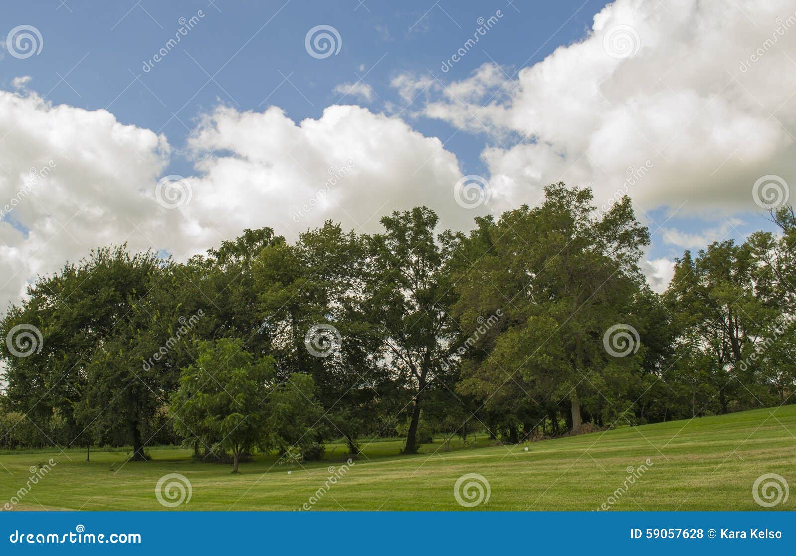 Iowa Country Yard with Grouping of Trees Stock Photo - Image of country ...