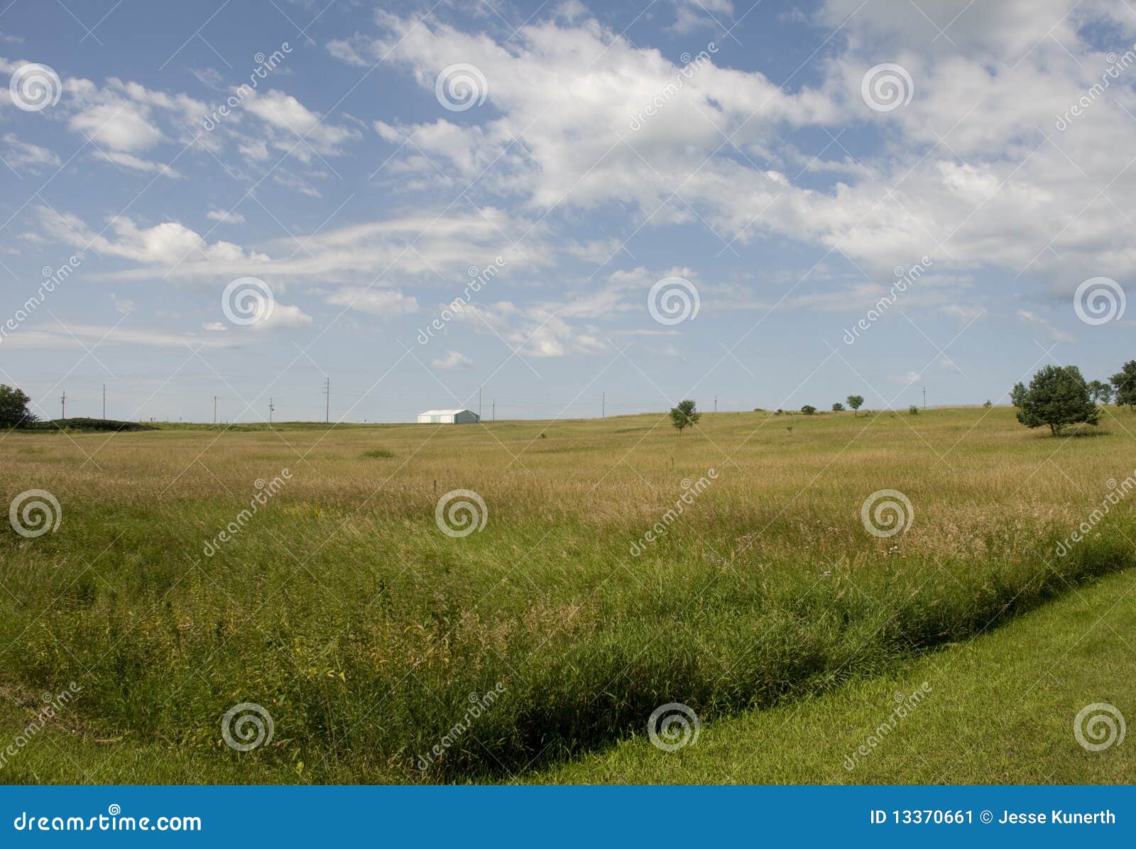 Iowa Field stock image. Image of fluffy, clouds, trees - 13370661